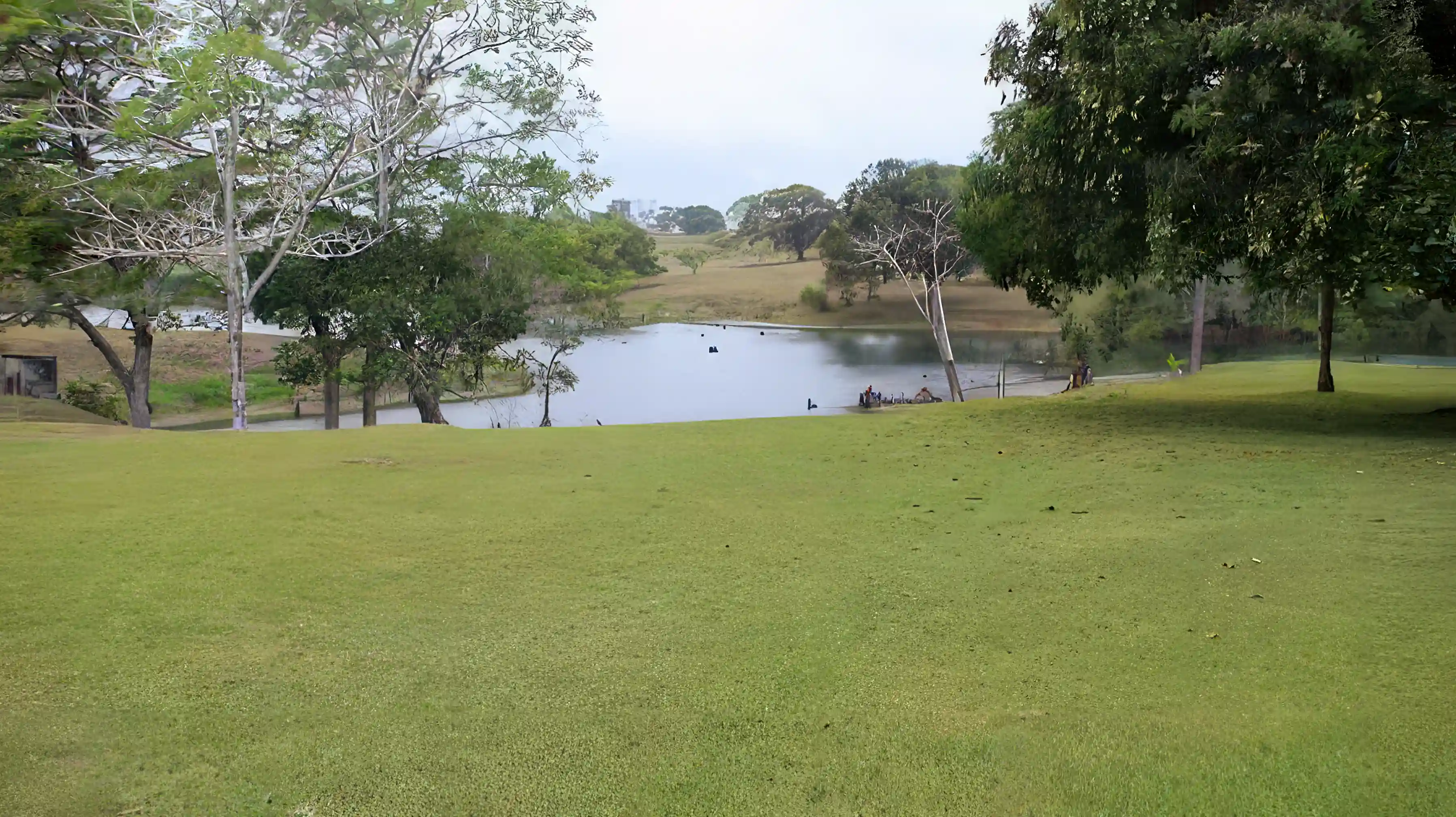 Lot/Land for Sale in Arenosa, Panama