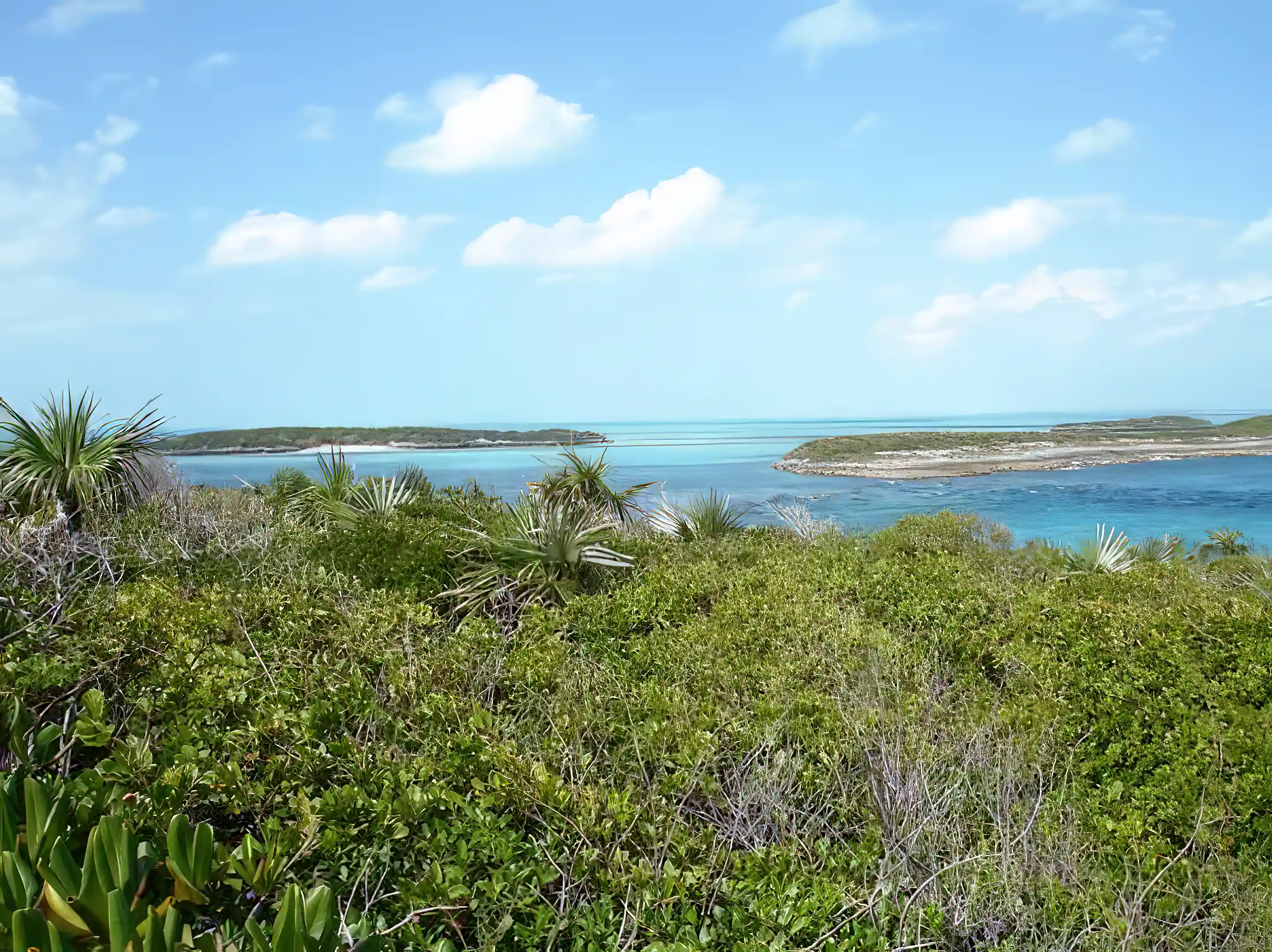 Private Island for Sale in Neptune's Nest / Devil's Cay, the Berry ...