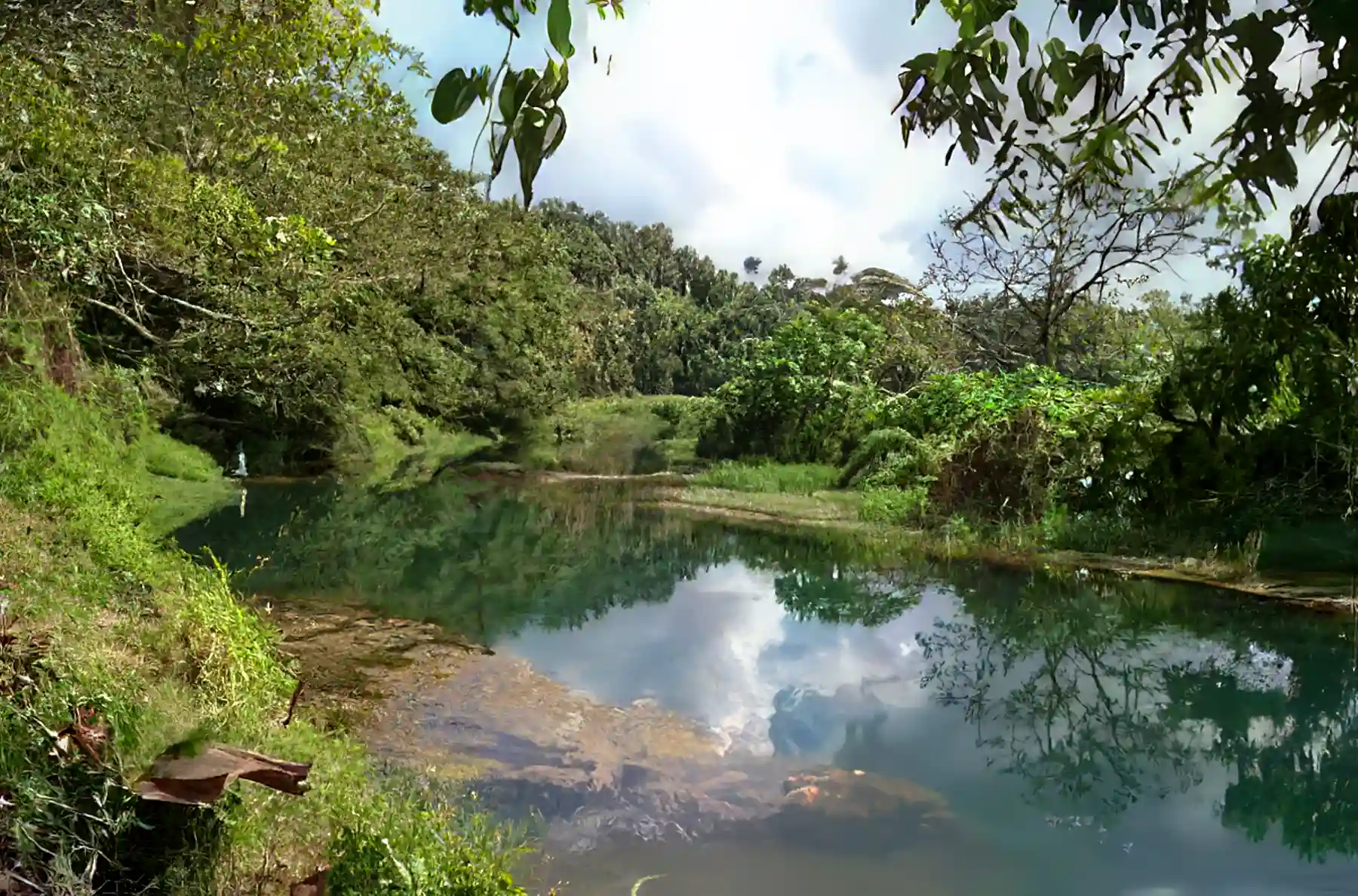 Farm with Beautiful House for Sale in Sabaneta, Dominican Republic