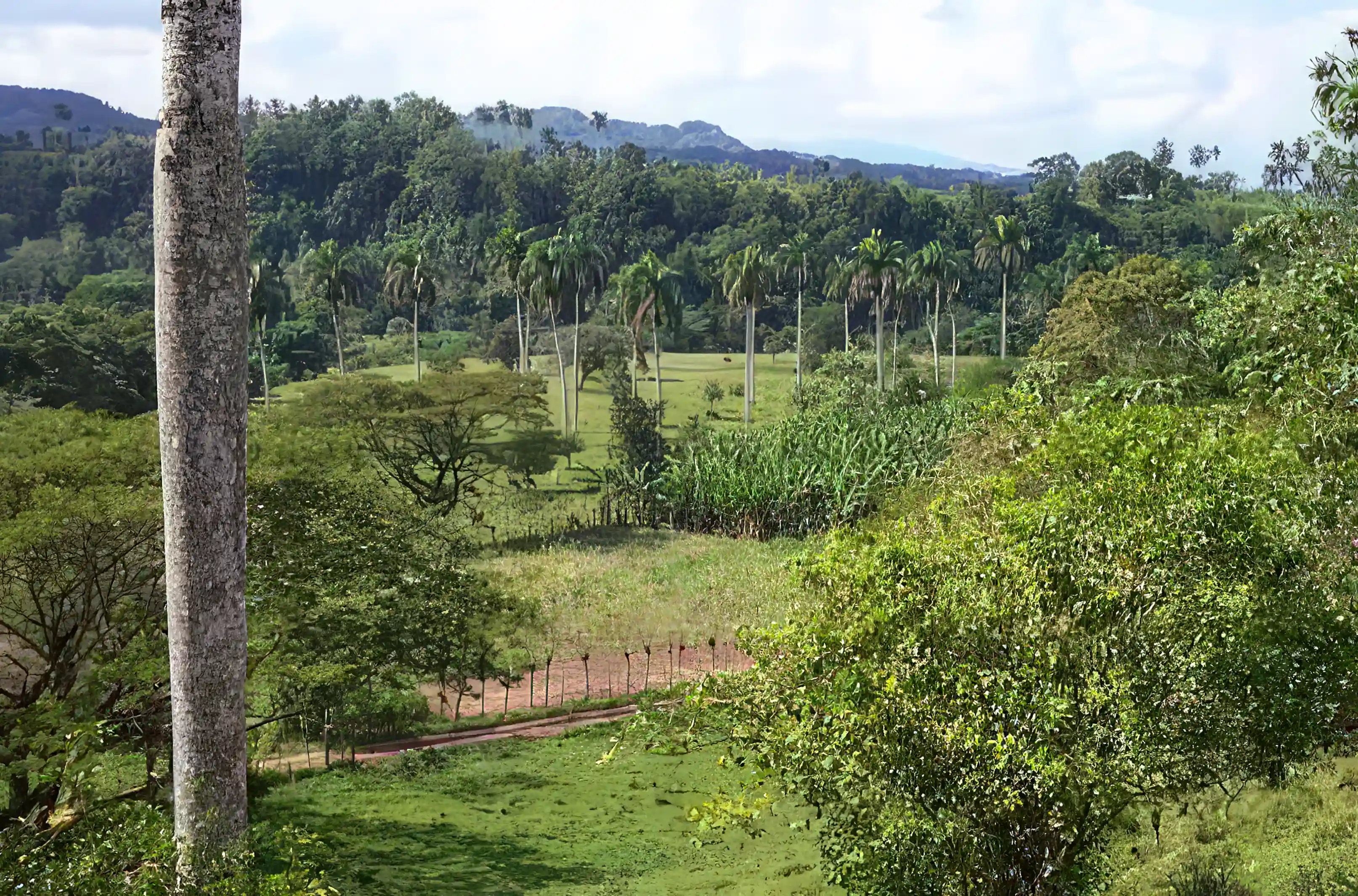 Farm with Beautiful House for Sale in Sabaneta, Dominican Republic