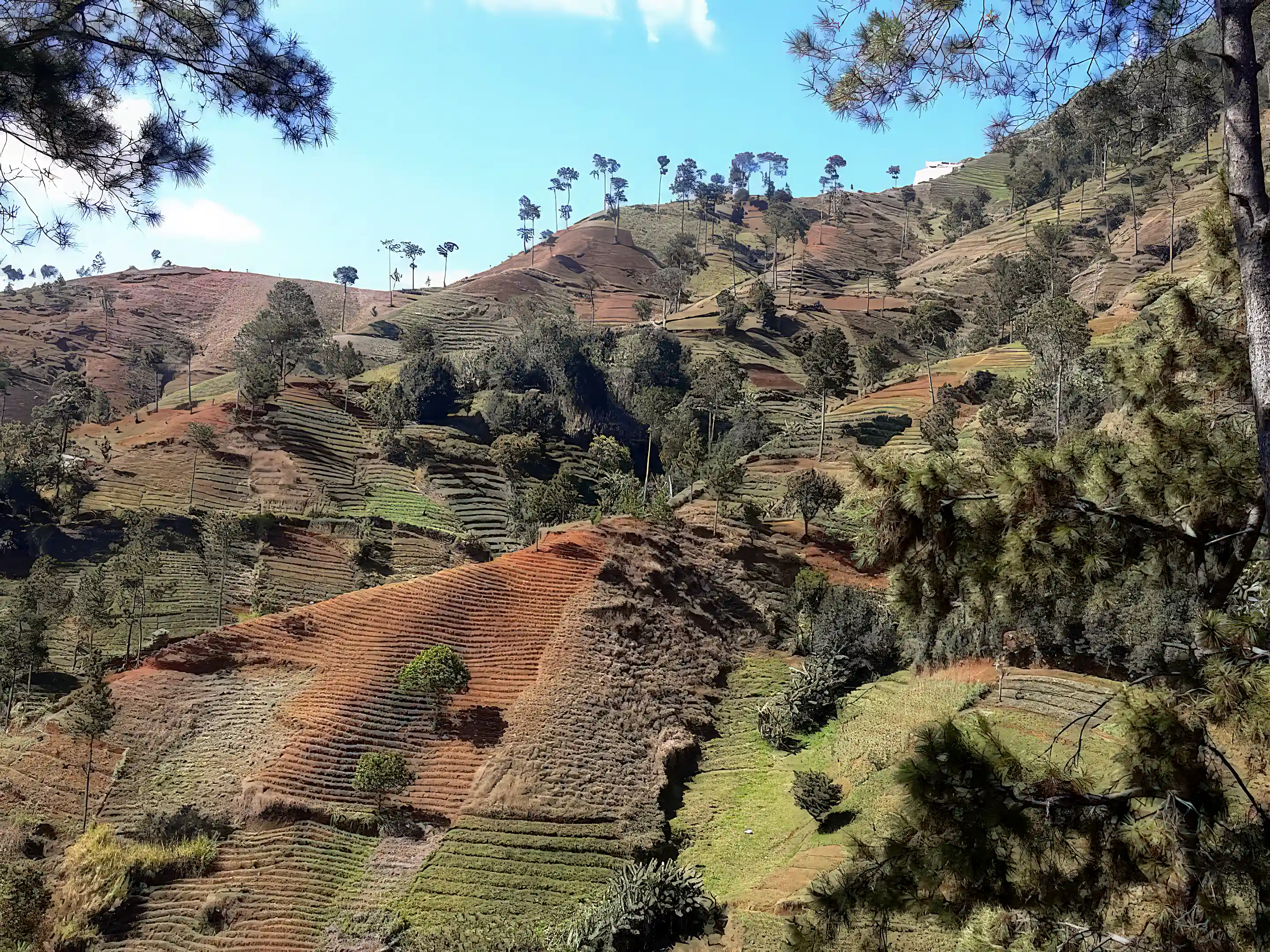 Rare Mountain Lot for Sale in Obleon, Haiti