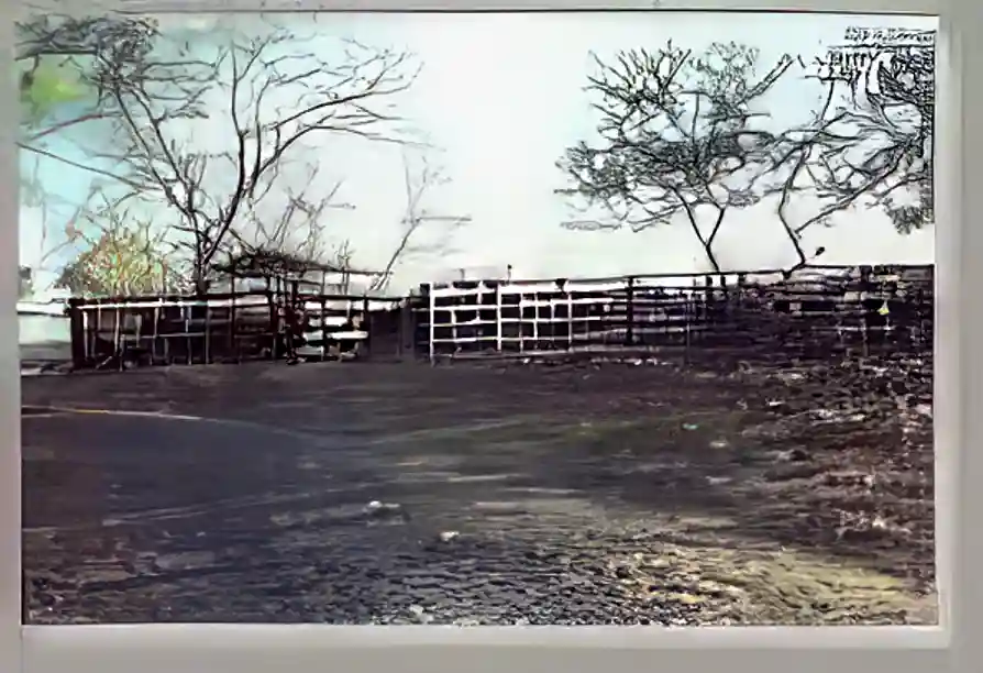 Farm/Ranch for Sale in Rivas, Nicaragua - Viviun