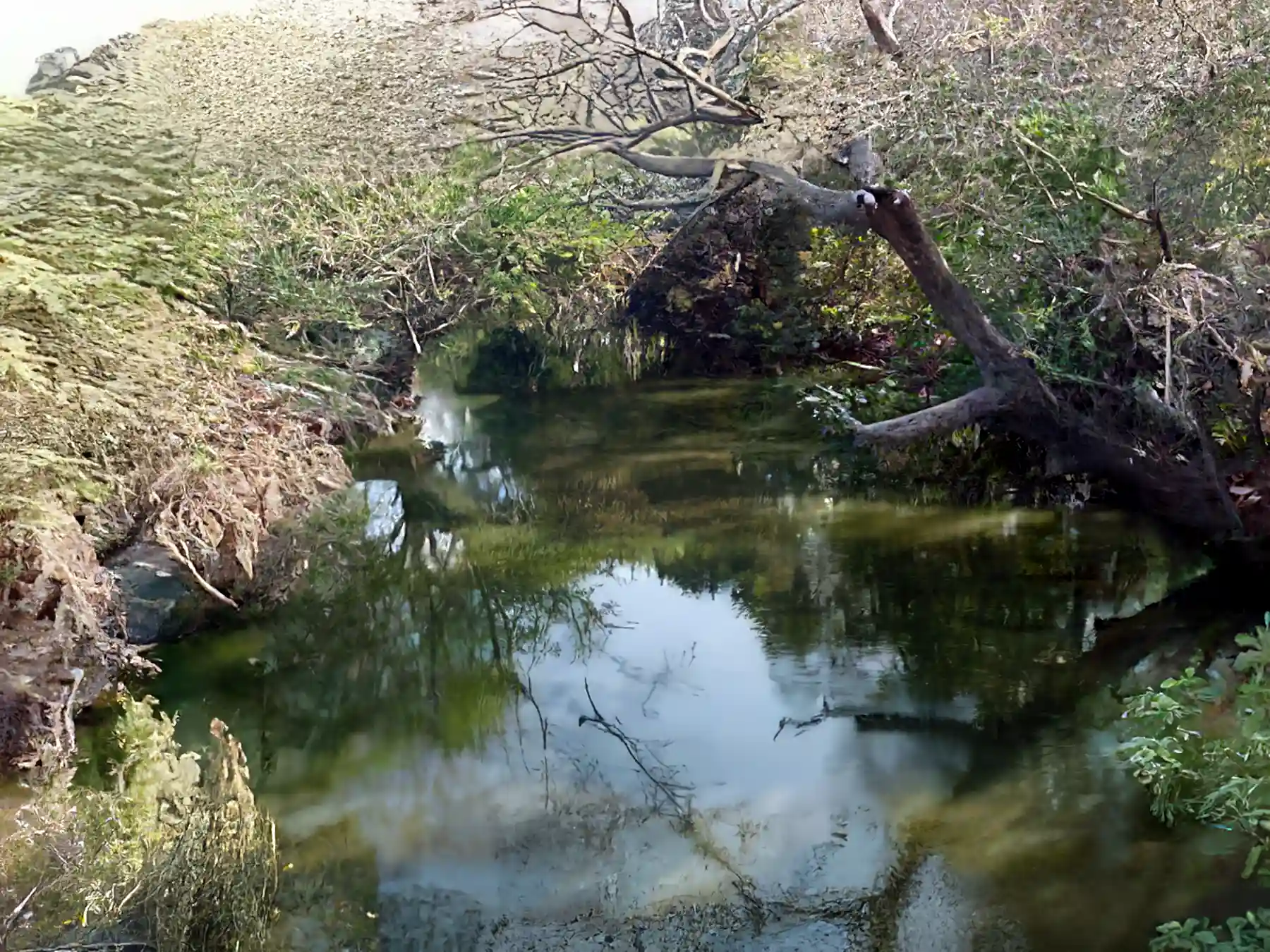 Farm/Ranch for Sale in Rivas, Nicaragua - Viviun