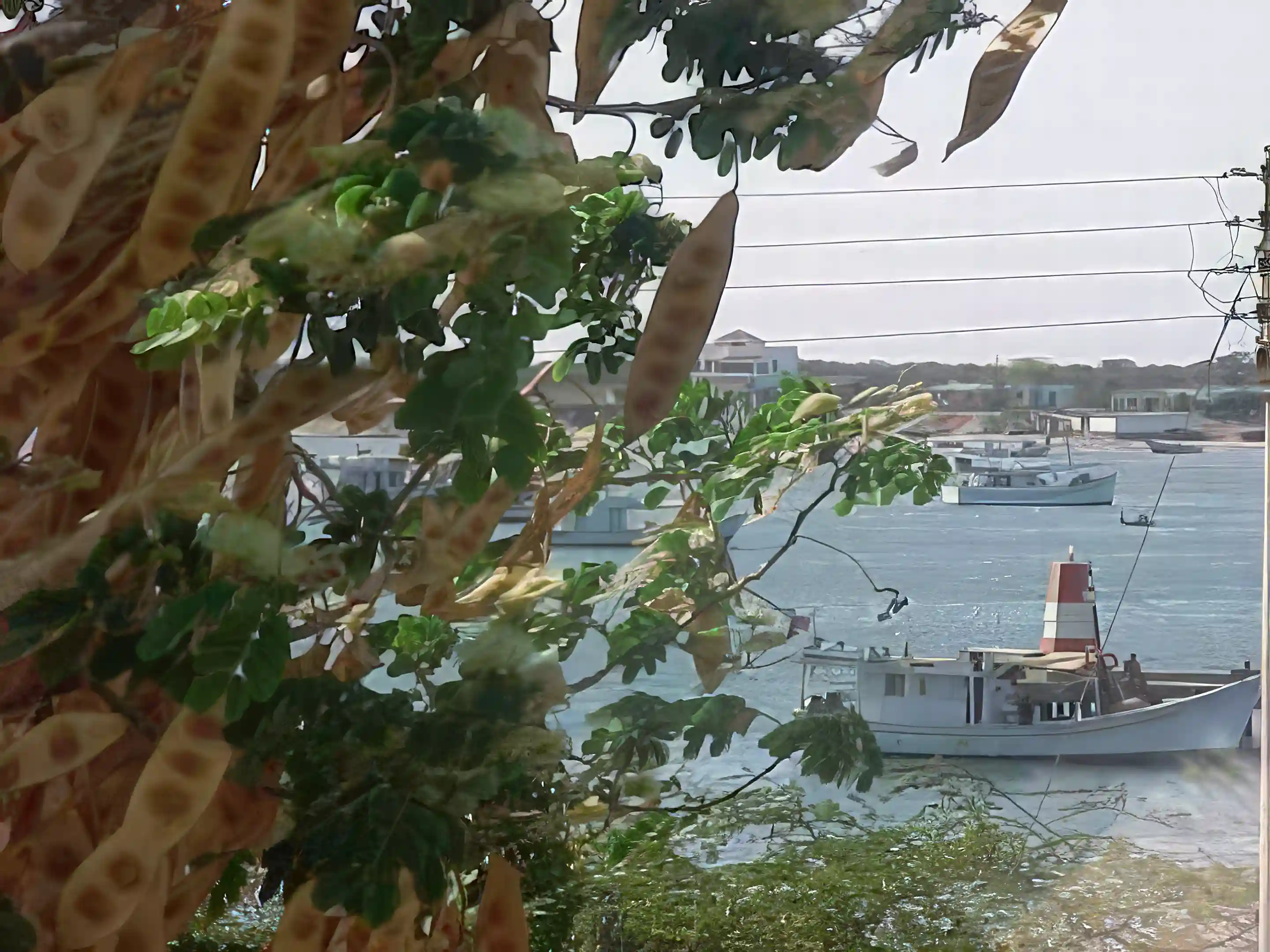 Resort for Sale in Peninsula of Pariah, Orients of the Country, Venezuela