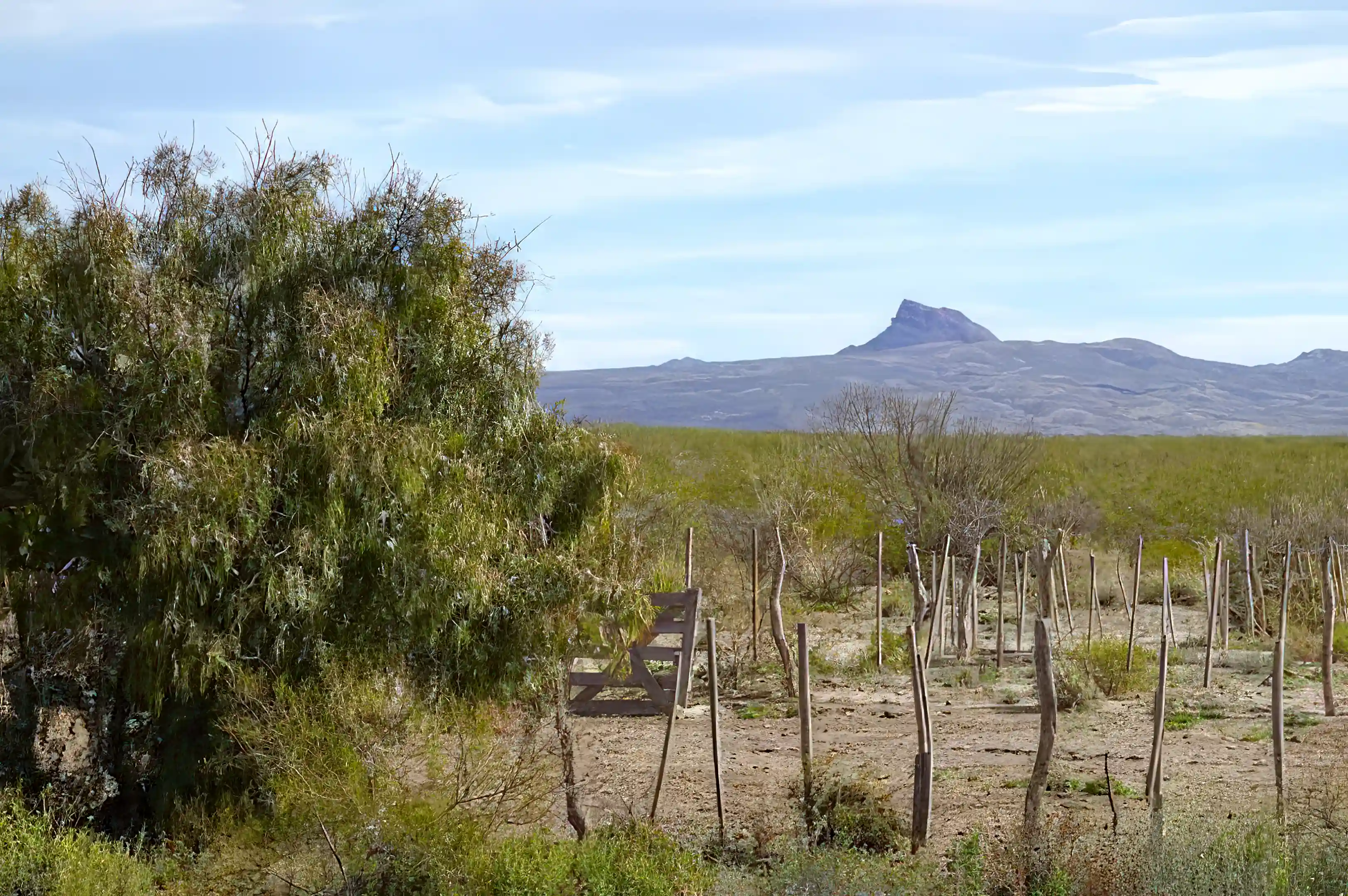 16,291 Hectare Cattle Ranch for Sale in Punta Del Agua, Mendoza ...