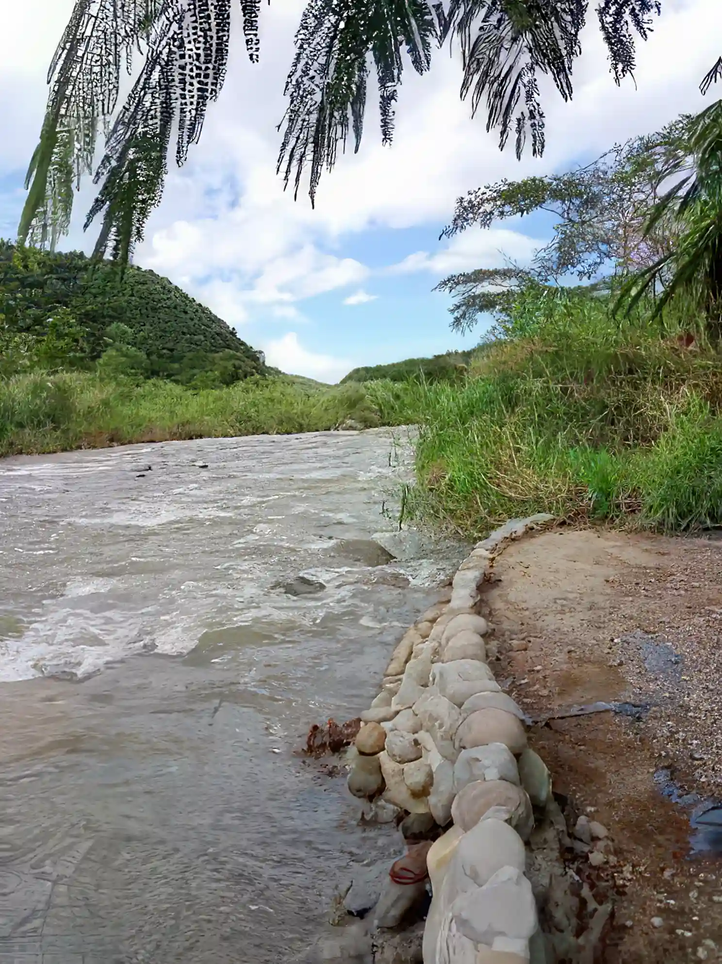 River Front Home for Sale in Chiriqui, Panama - Viviun
