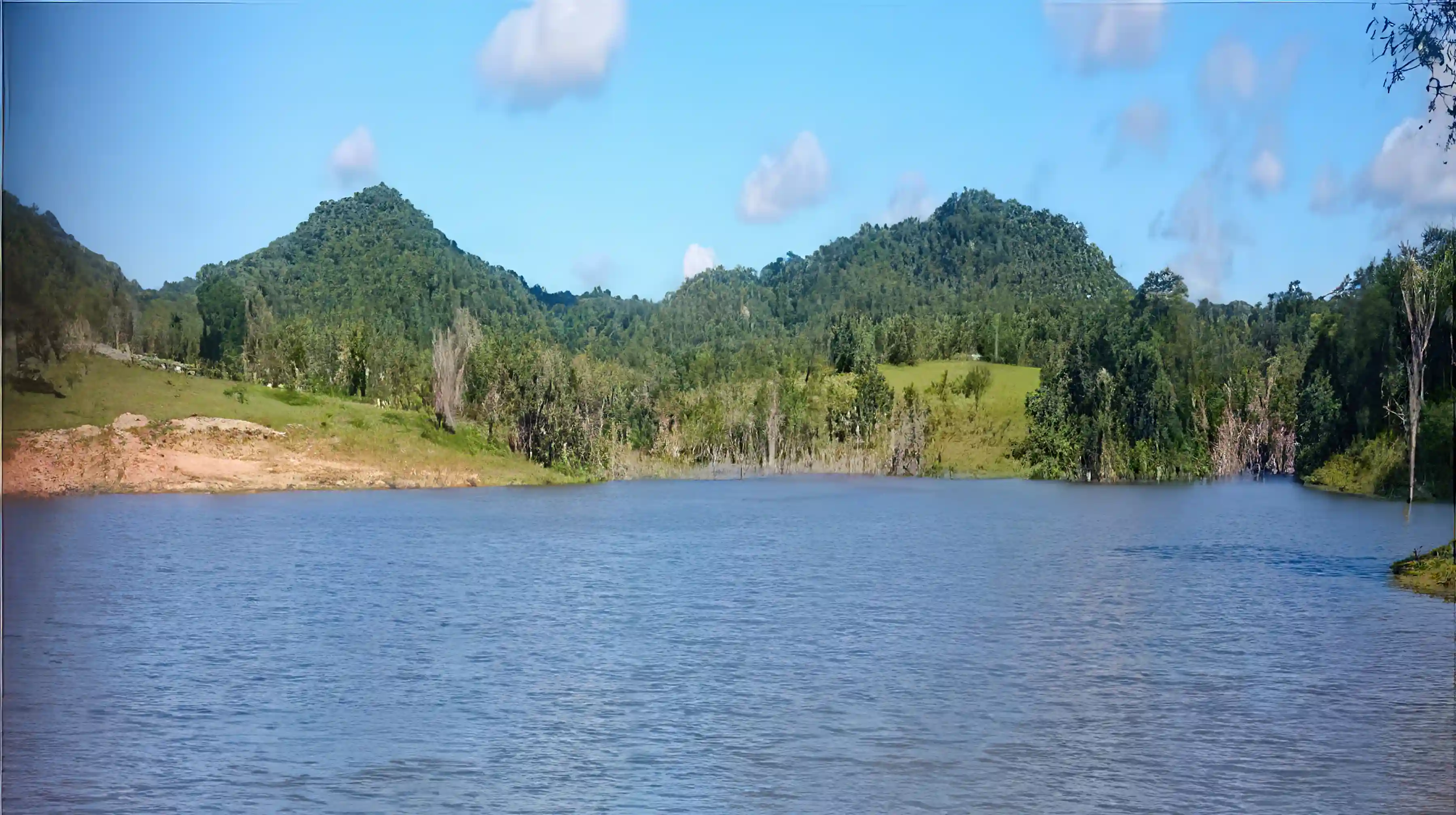 Cattle Ranch for Sale in Santa Cruz, Bolivia