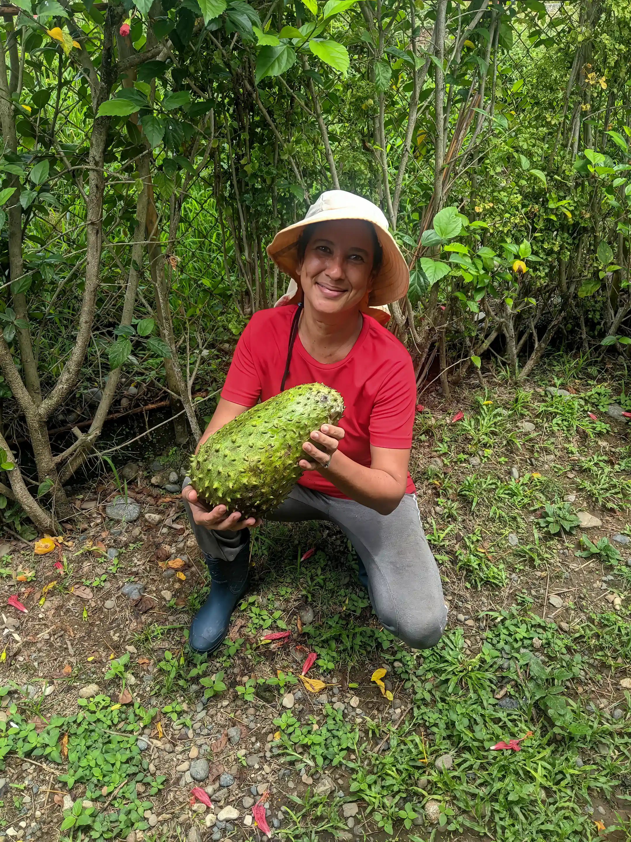Cacao Farm for Sale in Sierpe, Puntarenas, Costa Rica - Viviun