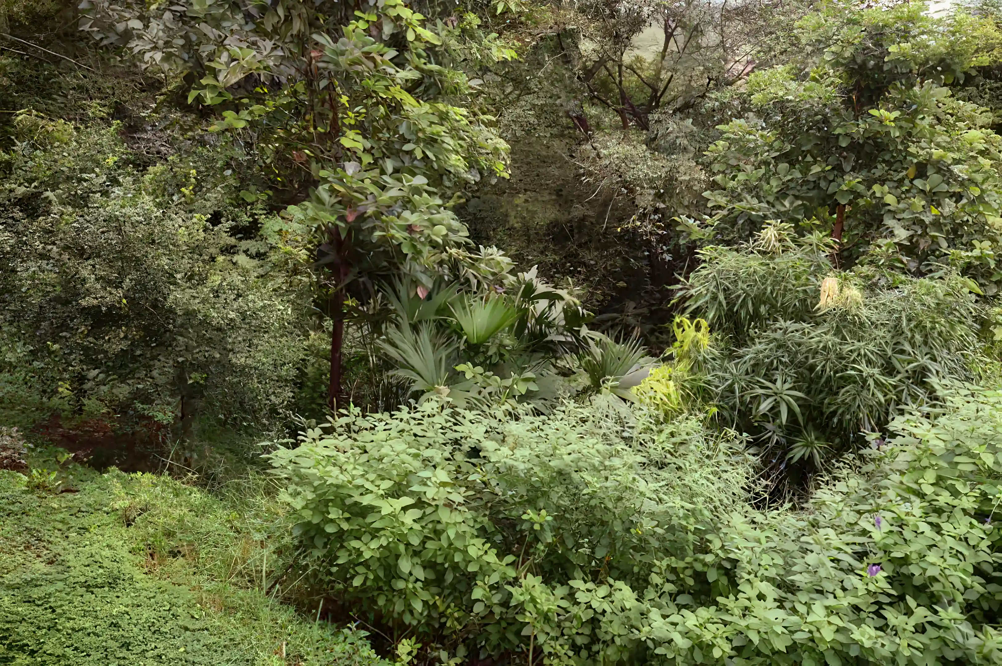 Home for Sale in 68 Calle Pelicano, Los Islotes, Quebro, Veraguas ...