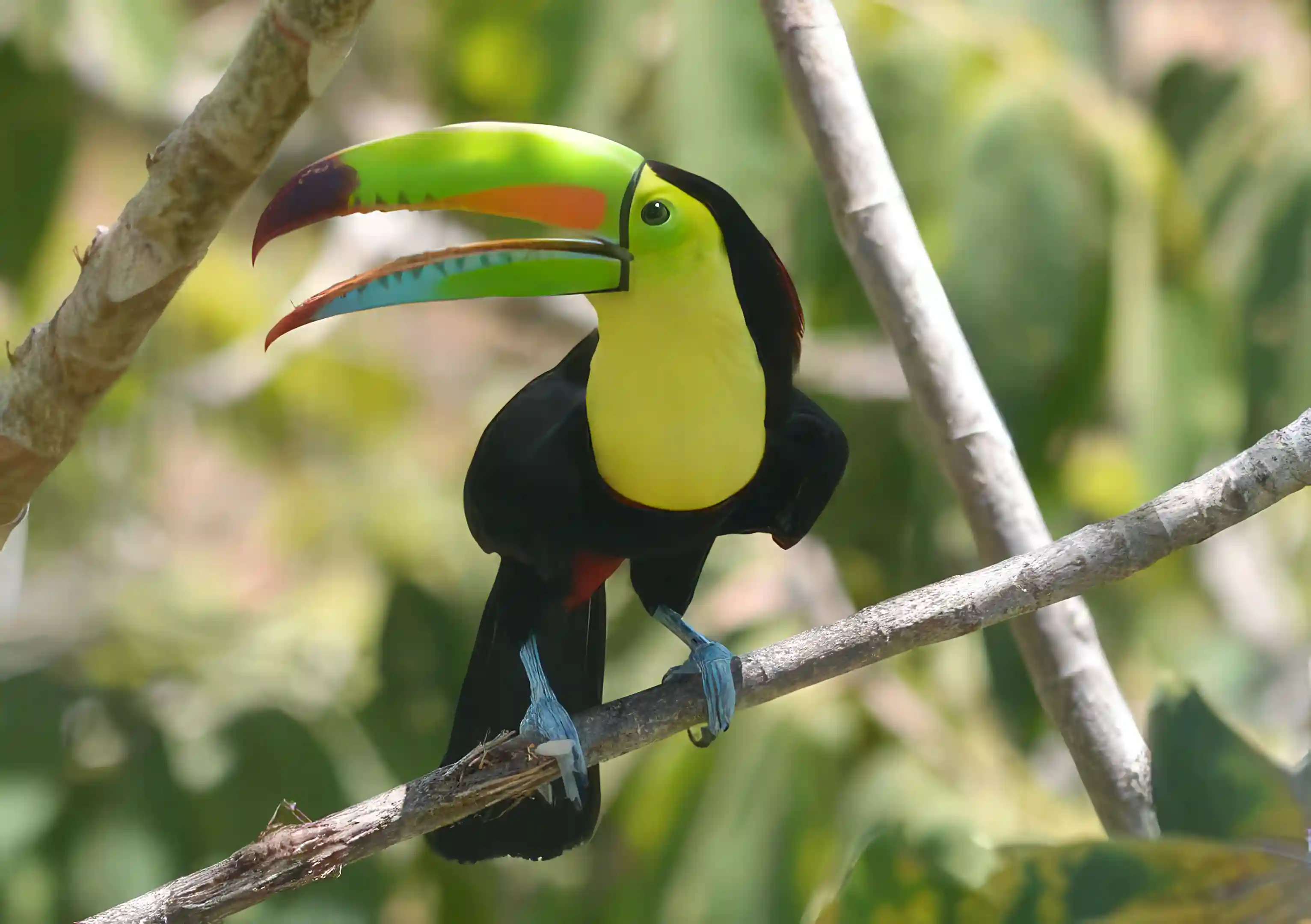 Home for Sale in 68 Calle Pelicano, Los Islotes, Quebro, Veraguas ...