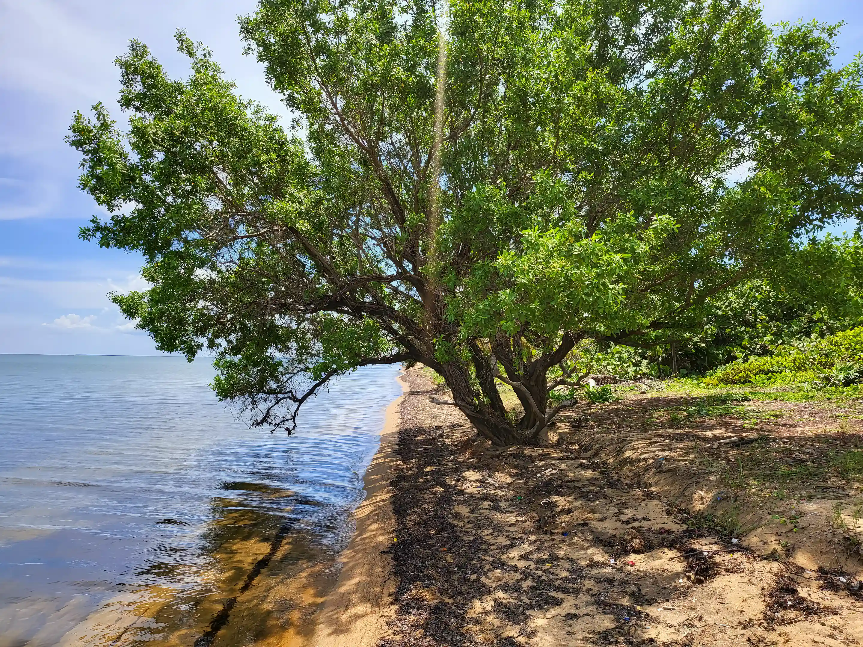 Beachfront Building Lots for Sale in Coastal Highway, Gales Point ...