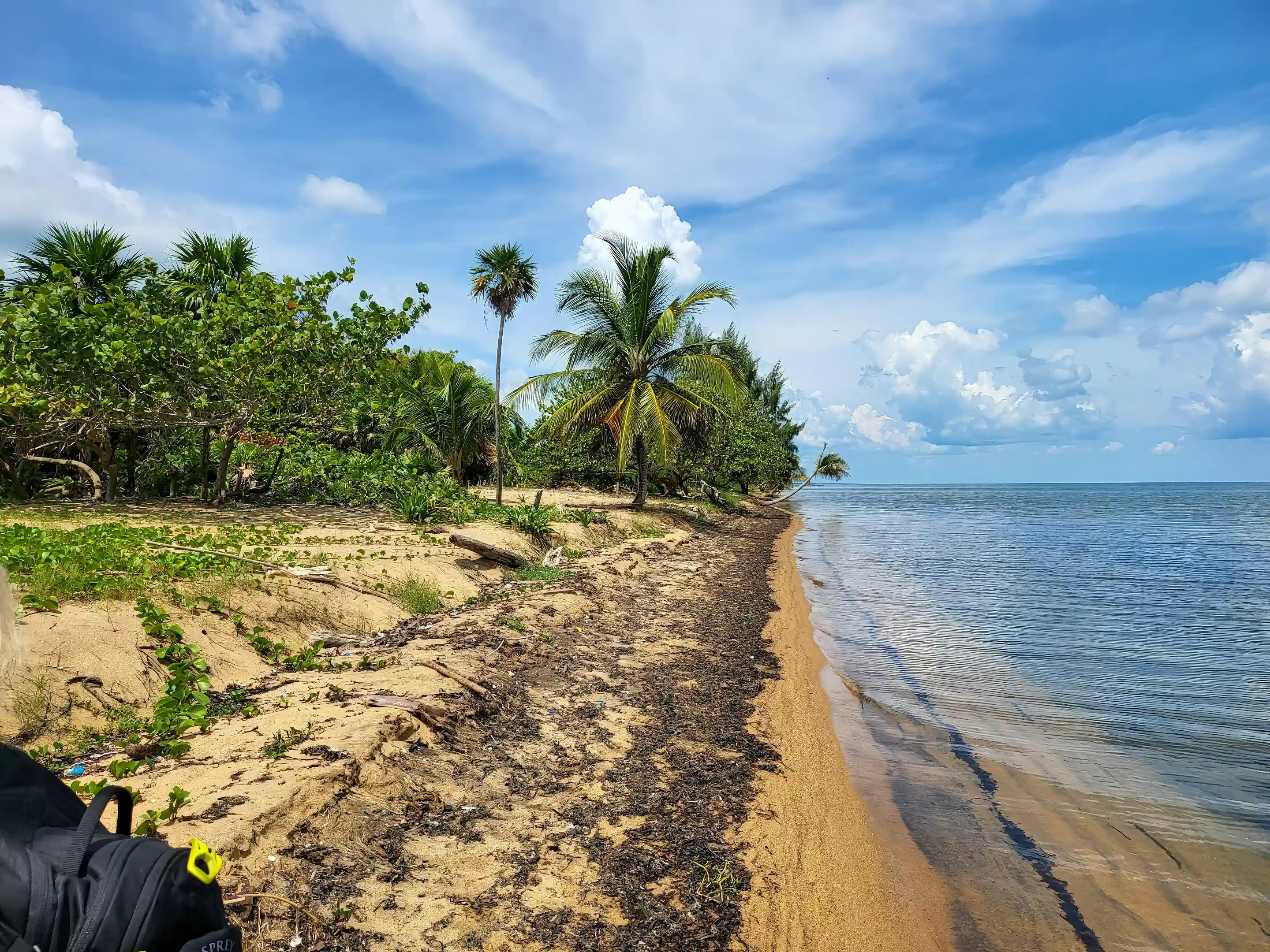 Beachfront Building Lots for Sale in Coastal Highway, Gales Point ...