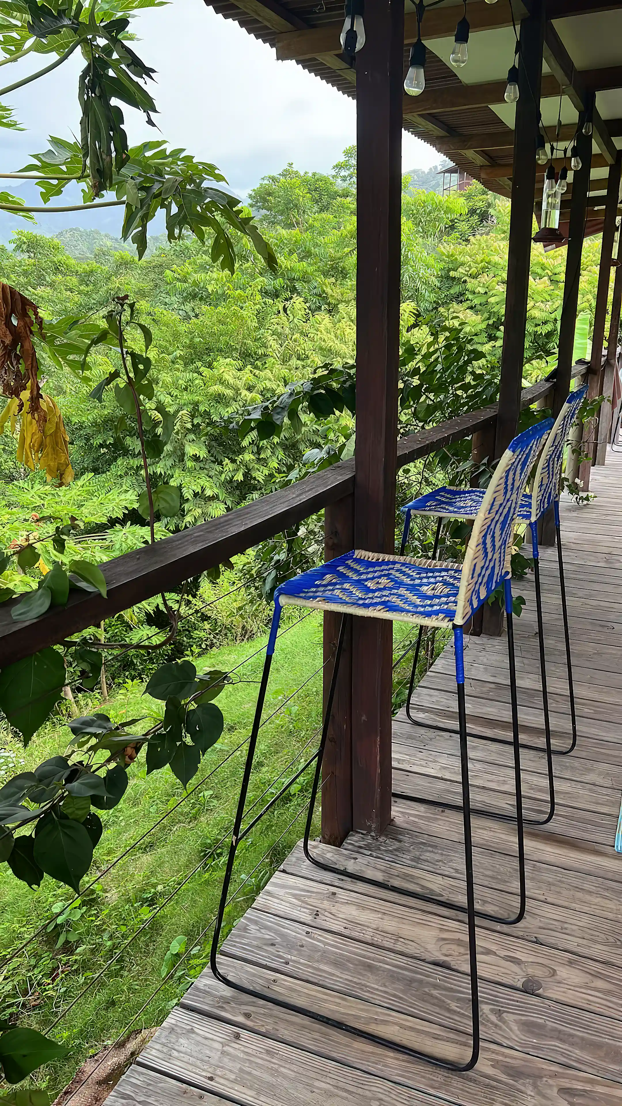 Rental Cabins for Sale in Tayrona, Magdalena, Colombia - Viviun