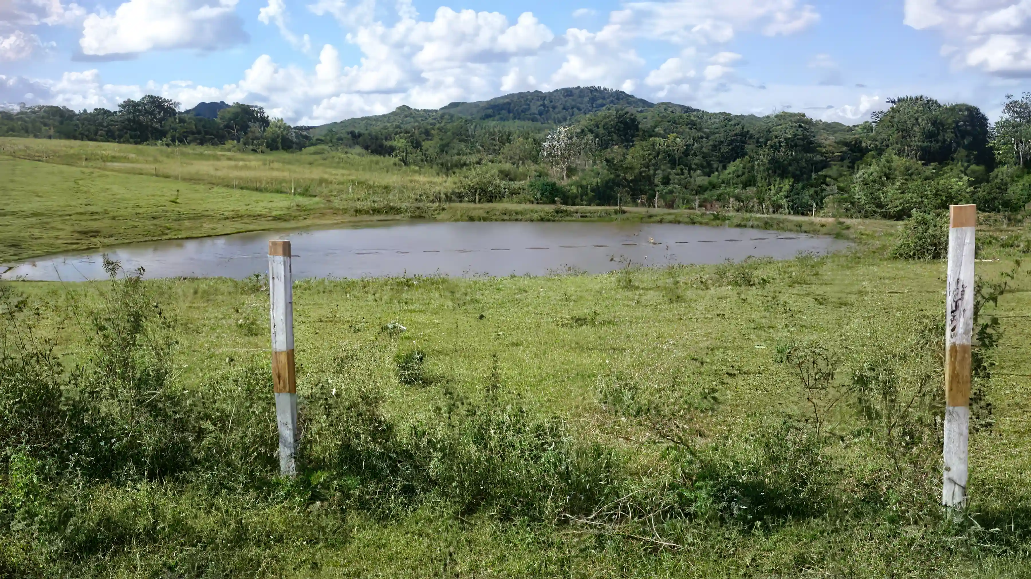 Cattle Ranch for Sale in San Javier, Santa Cruz, Bolivia