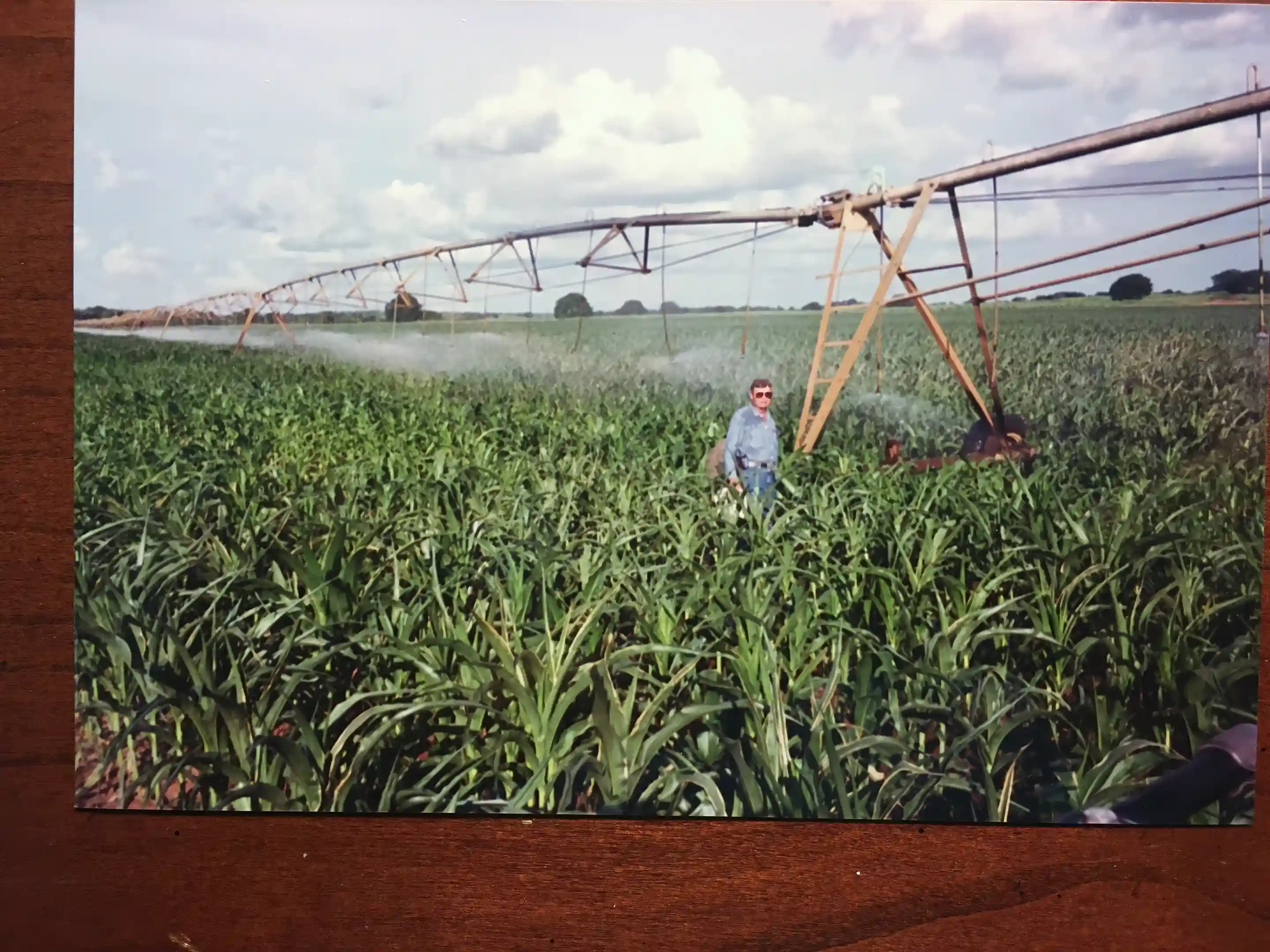 Farm for Sale in Avenida Perimetral, Ciudad Bolivar, Bolivar, Venezuela