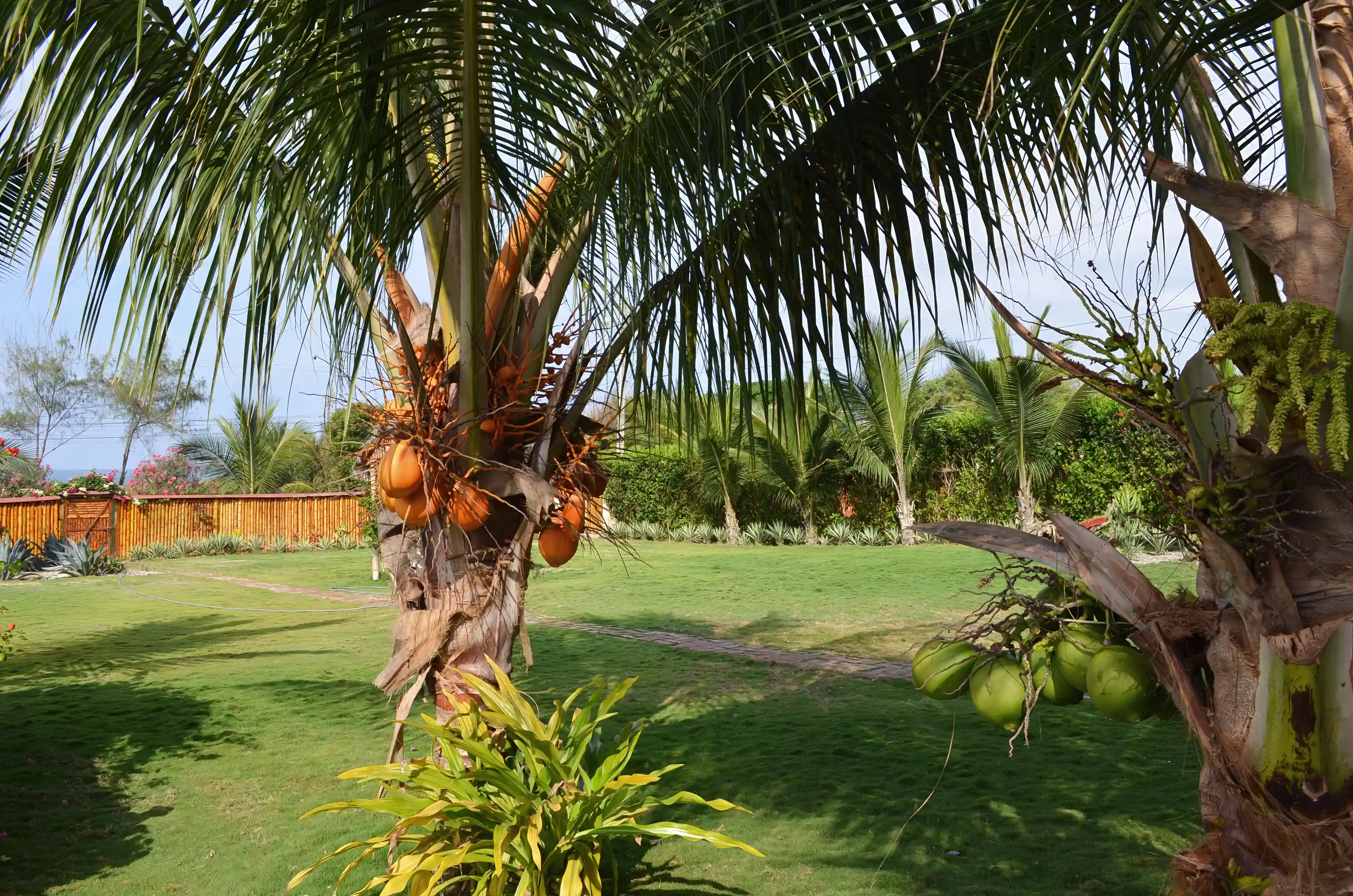 Investment Property for Sale in Puerto Cayo, Ecuador - Viviun