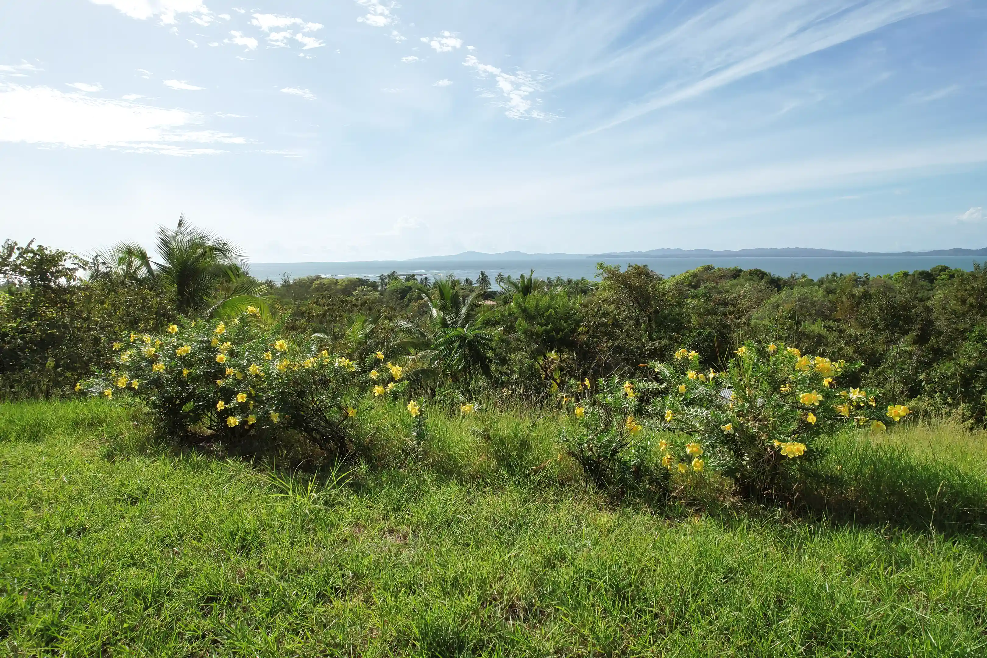 Ocean View Home for Sale in Punta Duarte, Mariato, Panama - Viviun