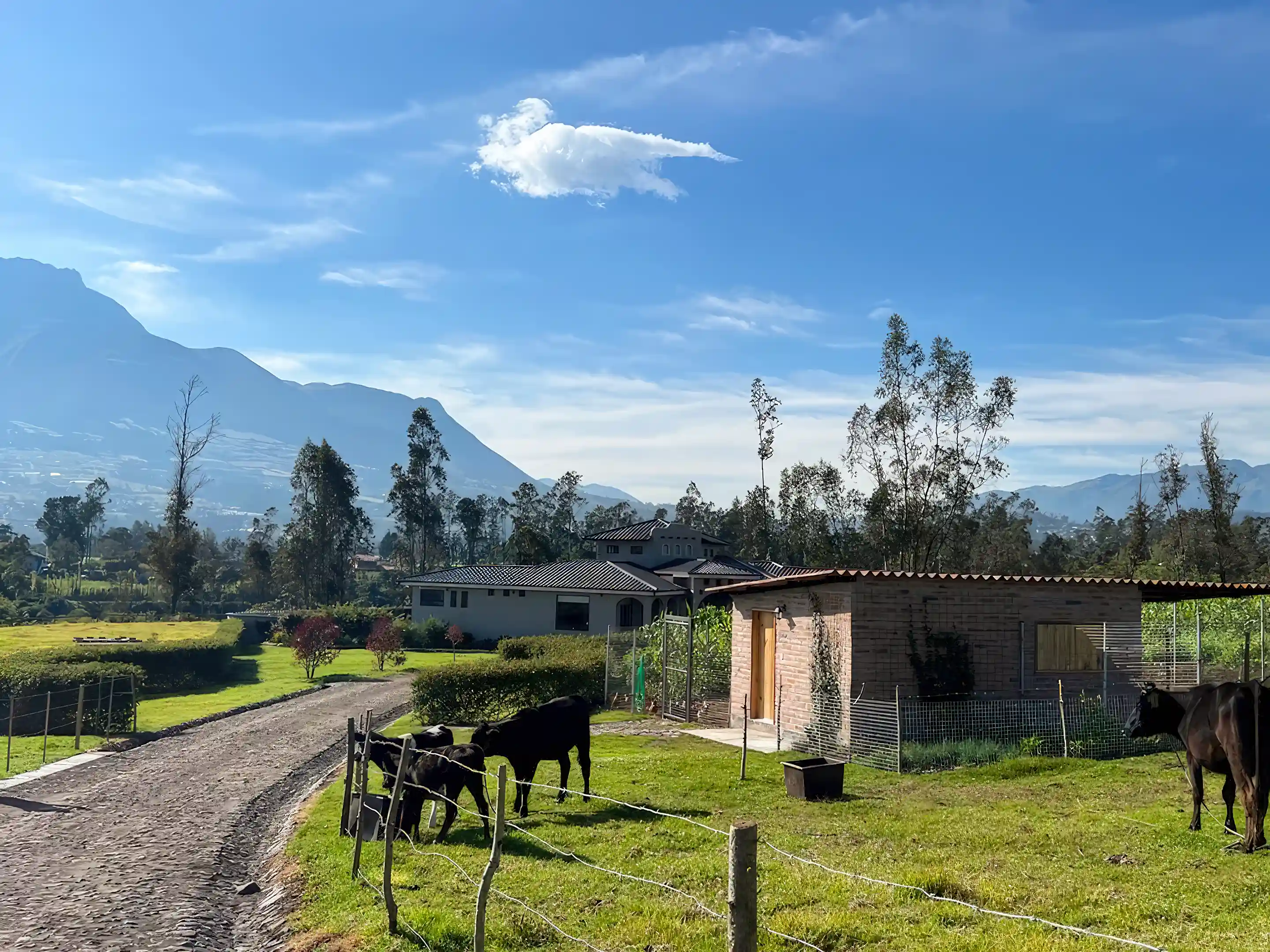 Luxury Home for Sale in Tunibamba, Cotacachi, Imbabura, Ecuador