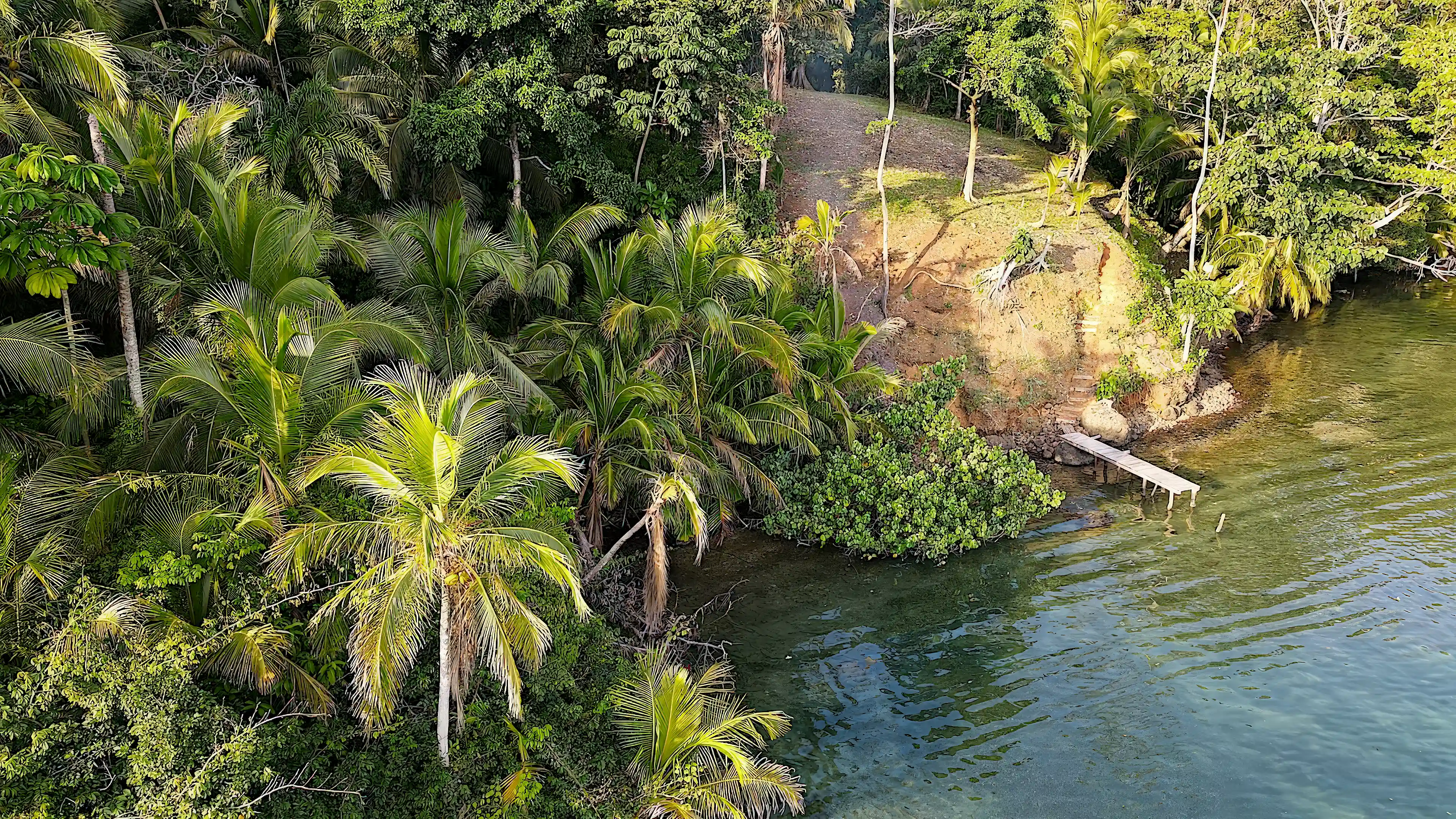 Caribbean Waterfront Land for Sale in Punta Laurel, Popa Island, Bocas ...