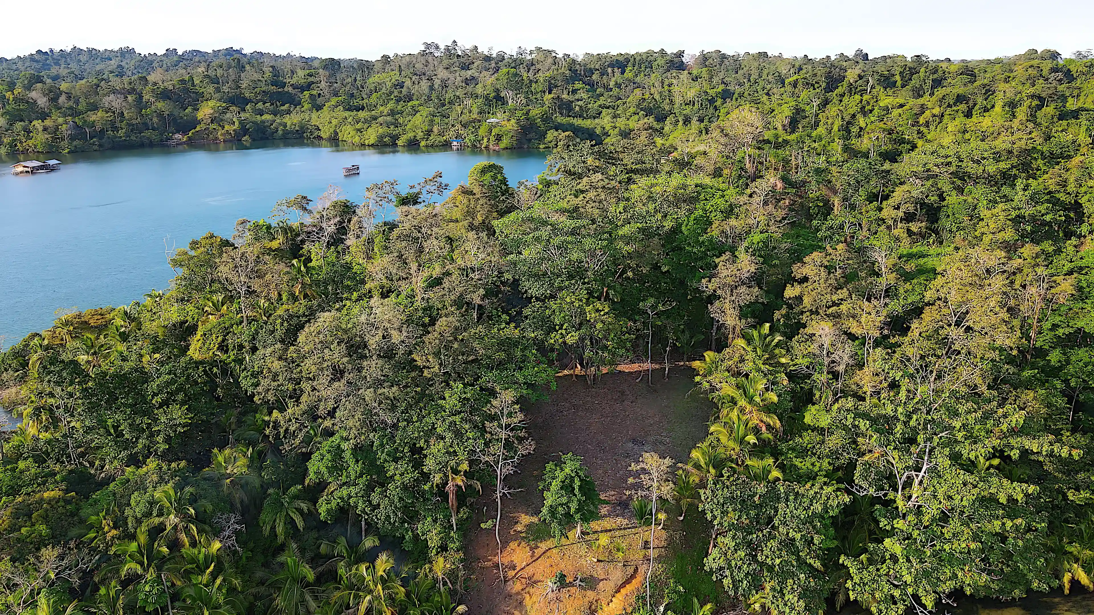 Caribbean Waterfront Land for Sale in Punta Laurel, Popa Island, Bocas ...