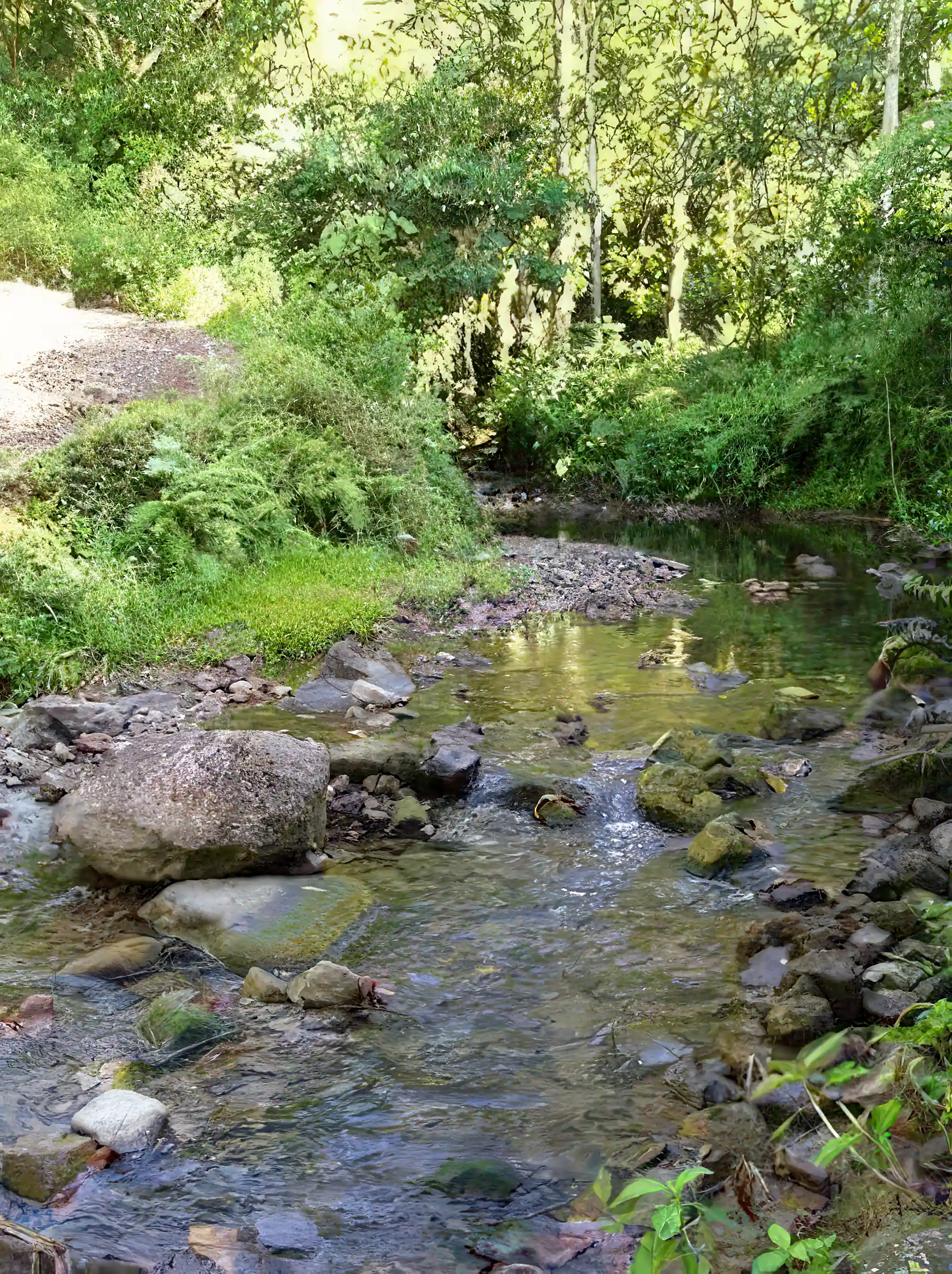 10 Acres Titled Land for Sale in La Primavera, Bugaba, Chiriqui, Panama