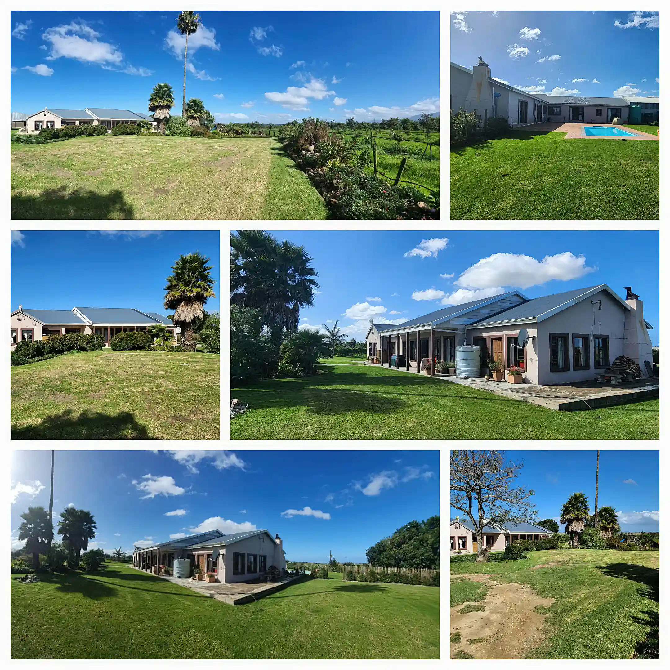 Avocado and Macadamia Nut Farm for Sale in Garden Route, George ...