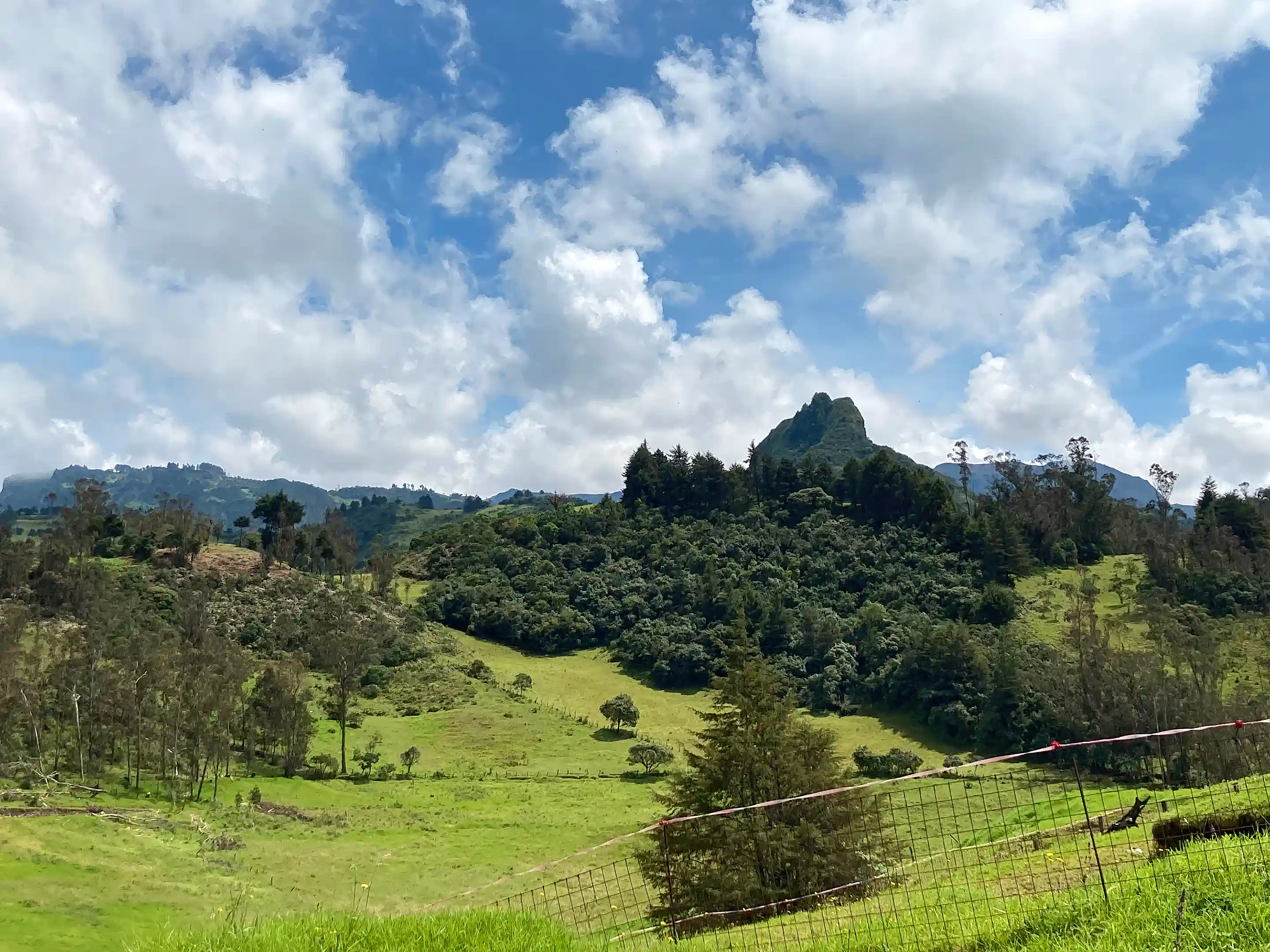 Farm for Sale in Cuenca, Azuay, Ecuador - Viviun