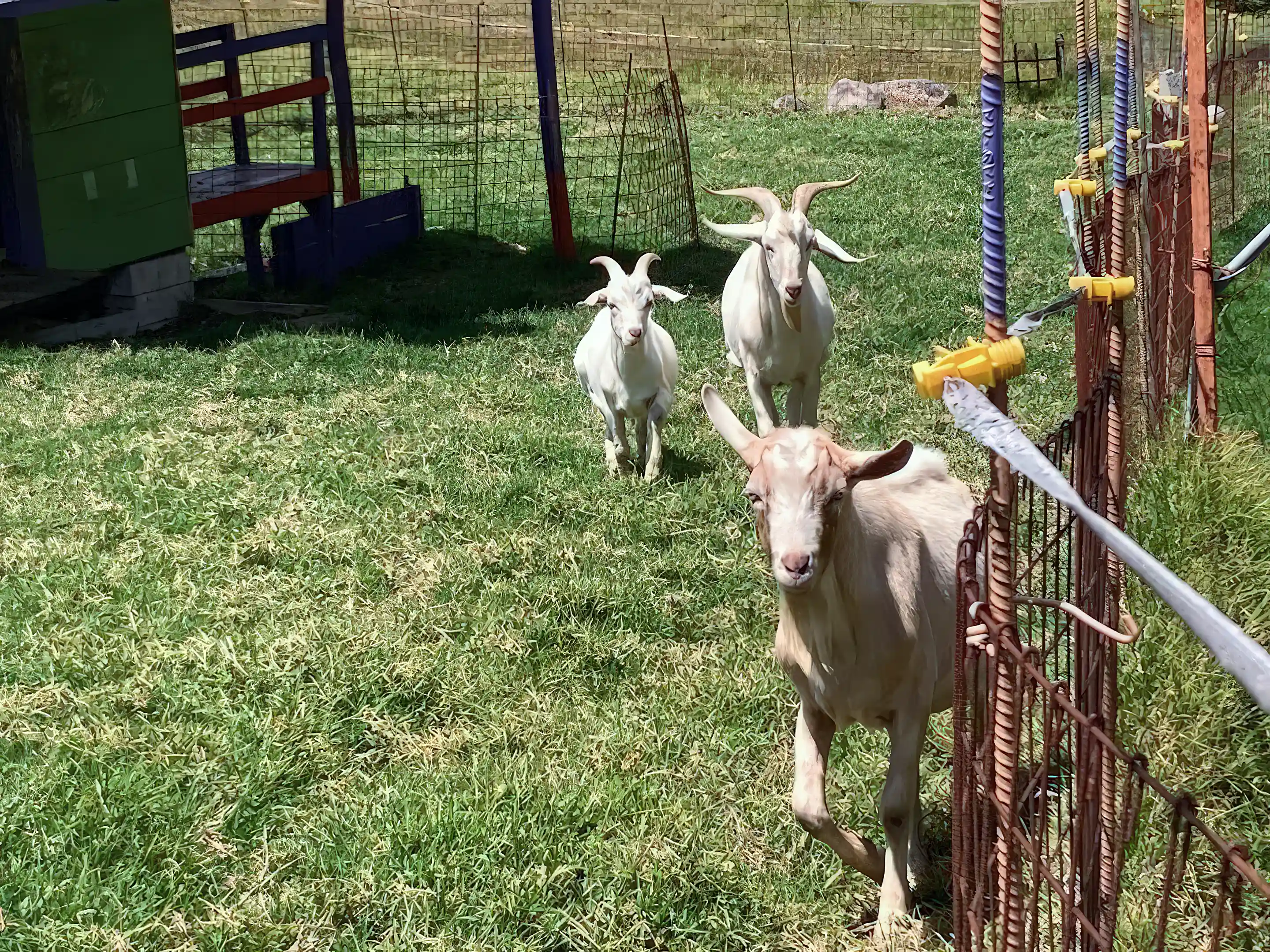 Farm for Sale in Cuenca, Azuay, Ecuador - Viviun