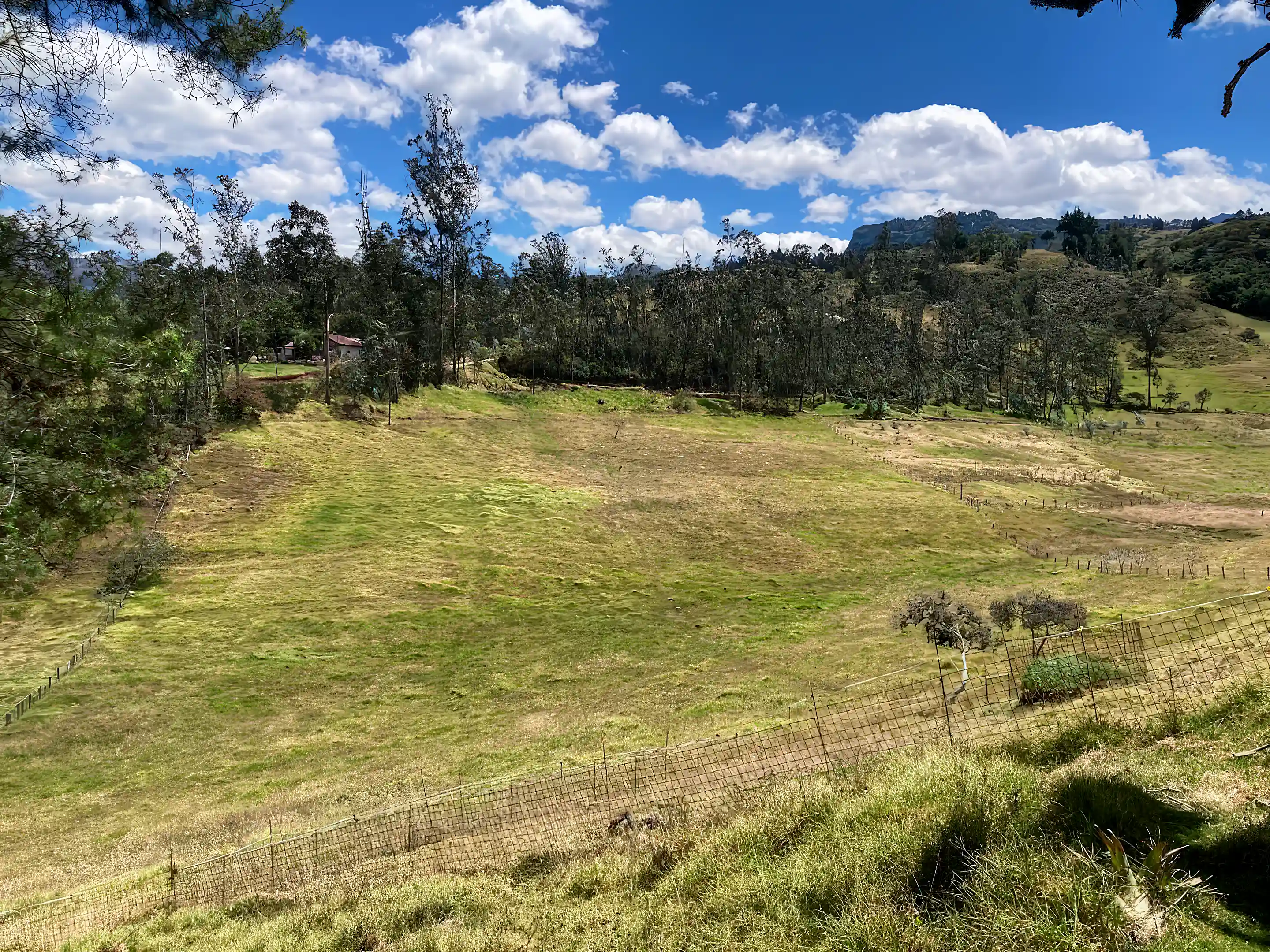 Farm for Sale in Cuenca, Azuay, Ecuador - Viviun