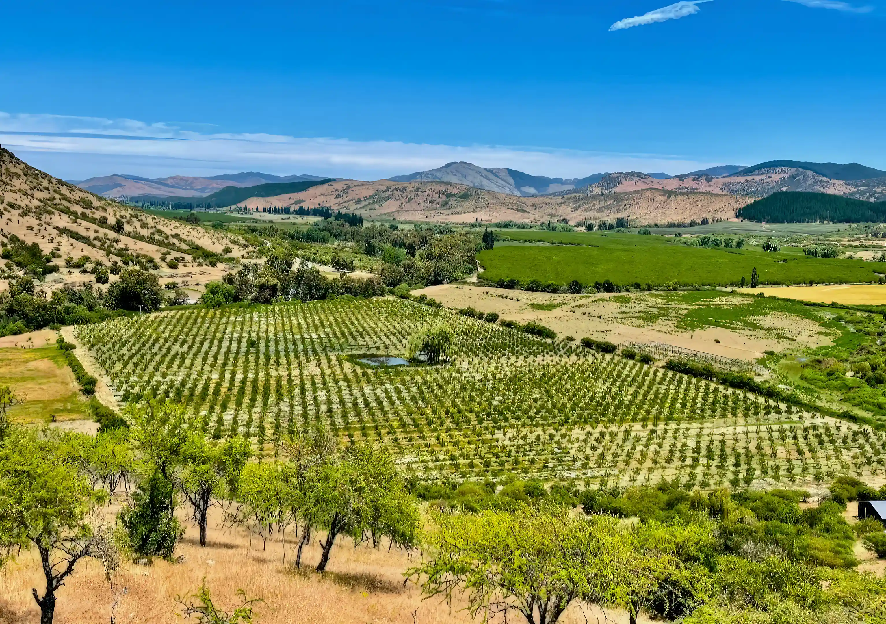 Organic Farm for Sale in Parcela Las Palmas Tapihue, Pencahue, Maule ...