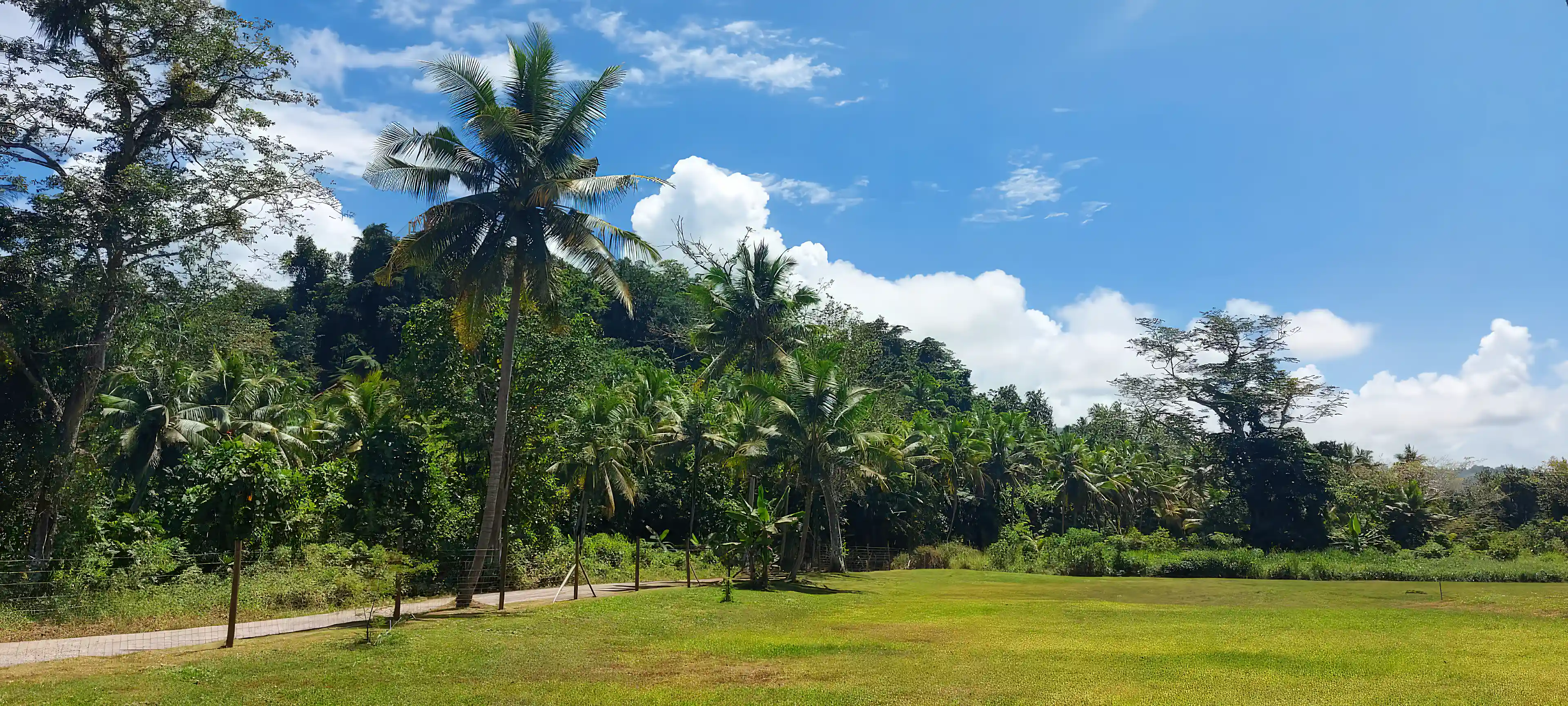 Freehold Land for Sale in Nukudmu, Buca Bay, Vanua Levu, Fiji - Viviun
