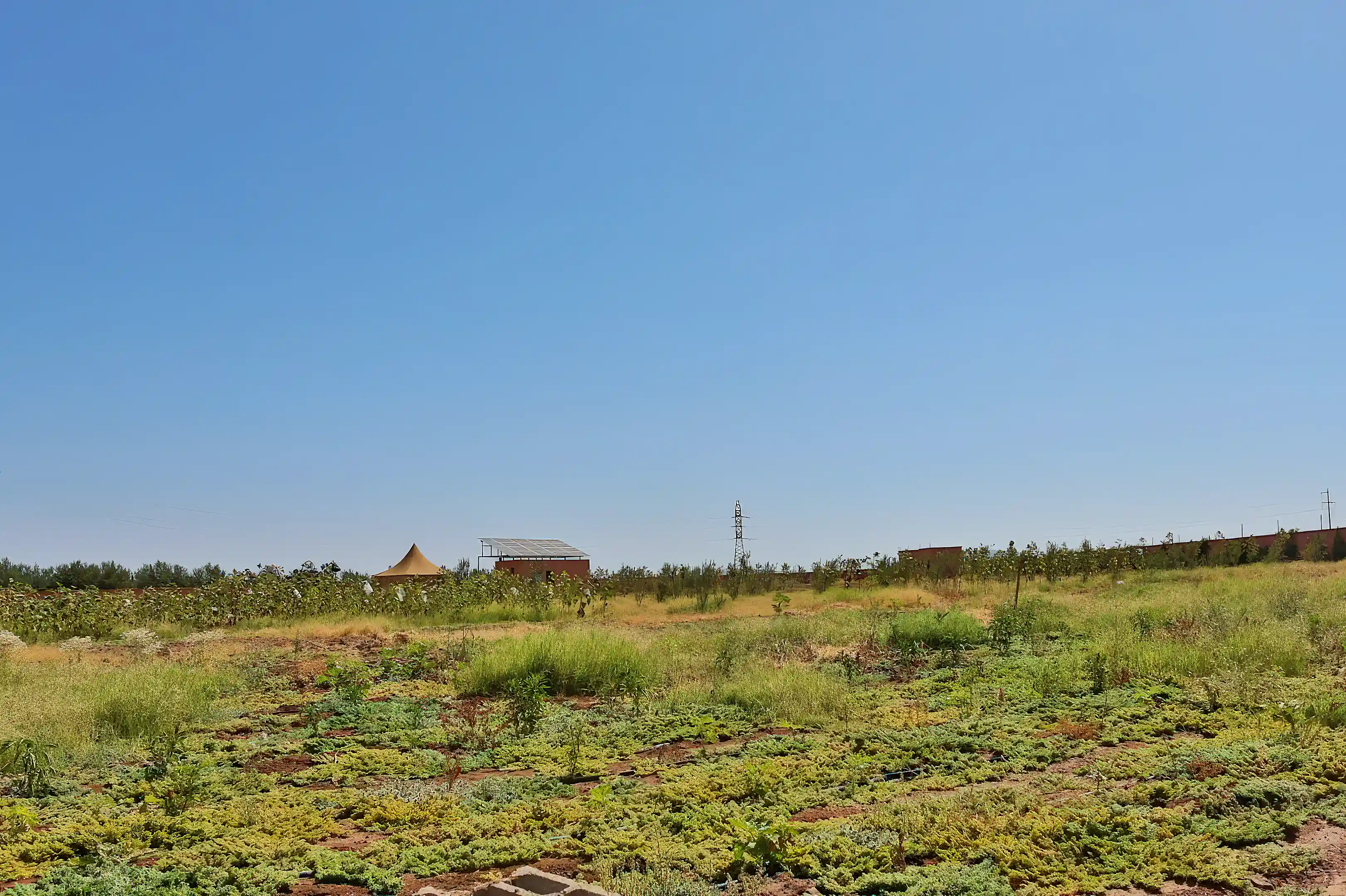 Building Lot for Sale in Lguarne Ouled Ahmed, Marrakech, Morocco