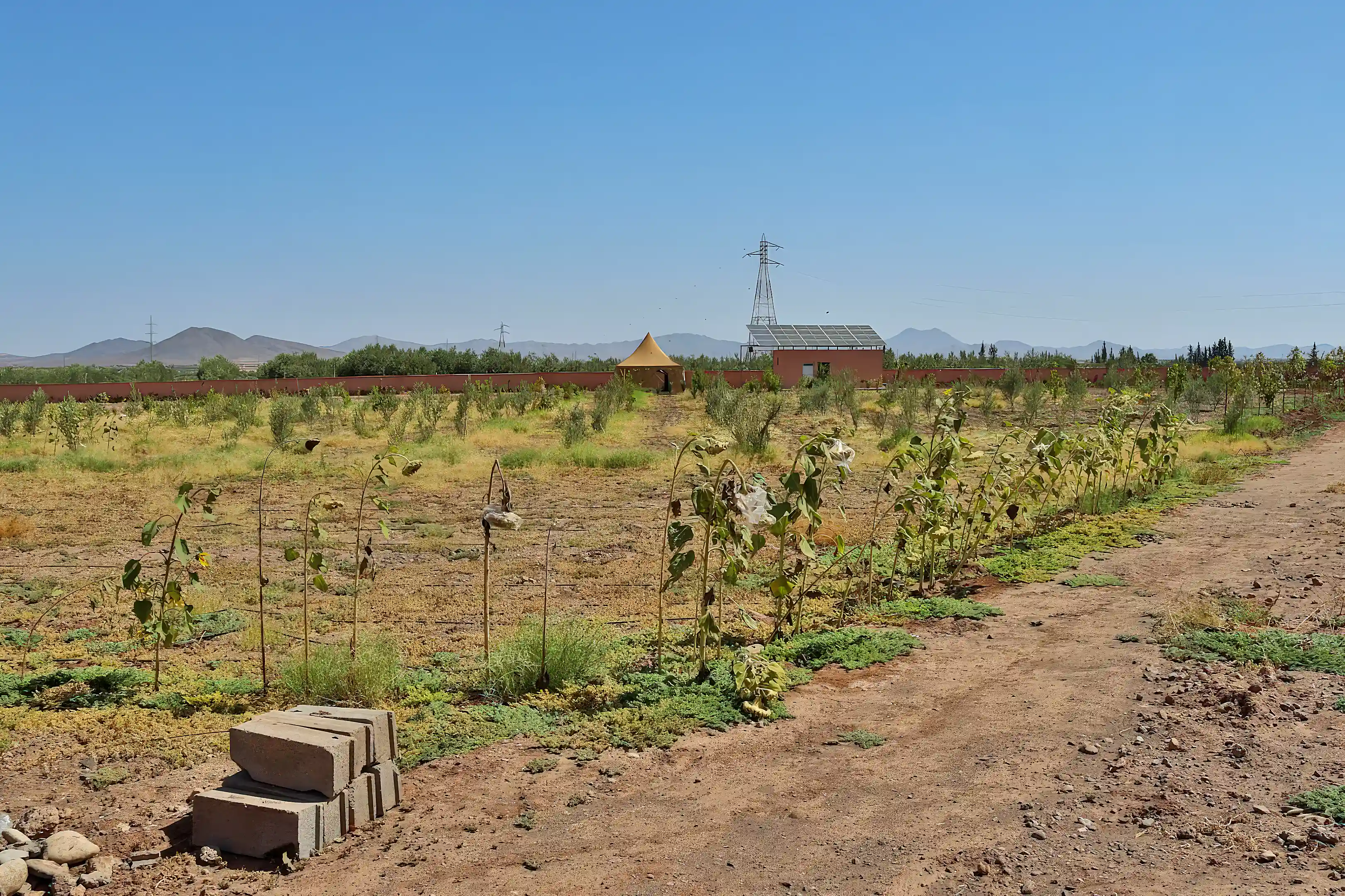 Building Lot for Sale in Lguarne Ouled Ahmed, Marrakech, Morocco