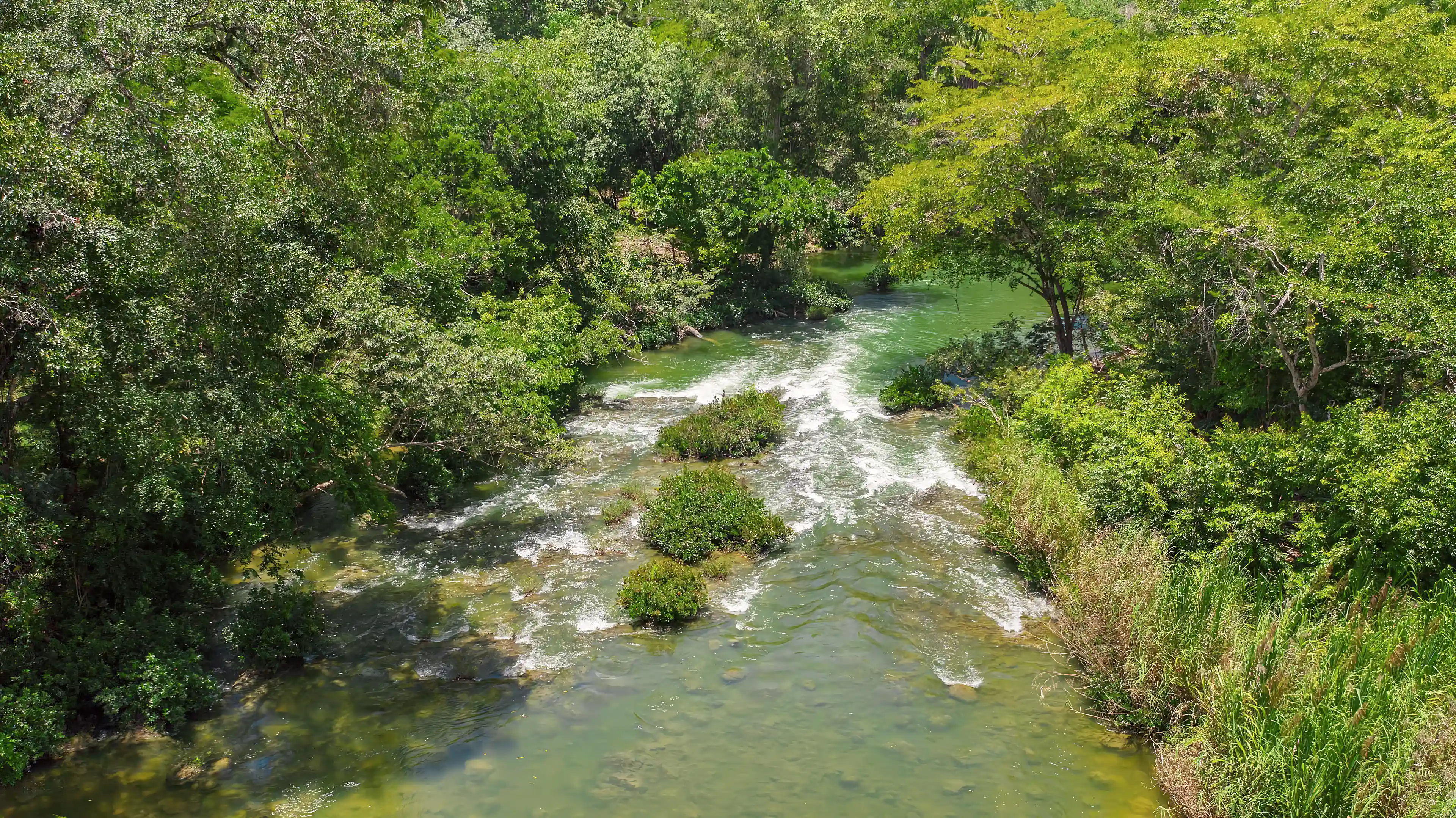 Large Riverside Lot for Sale in Bullet Tree Falls, Cayo, Belize