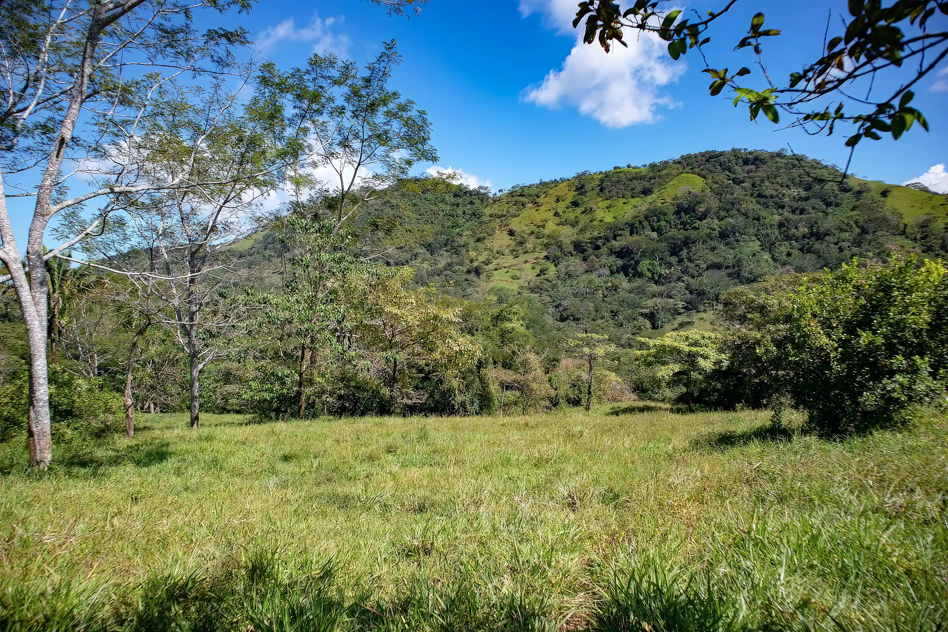 Farmland for Sale in Zaragoza, Guanacaste, Costa Rica