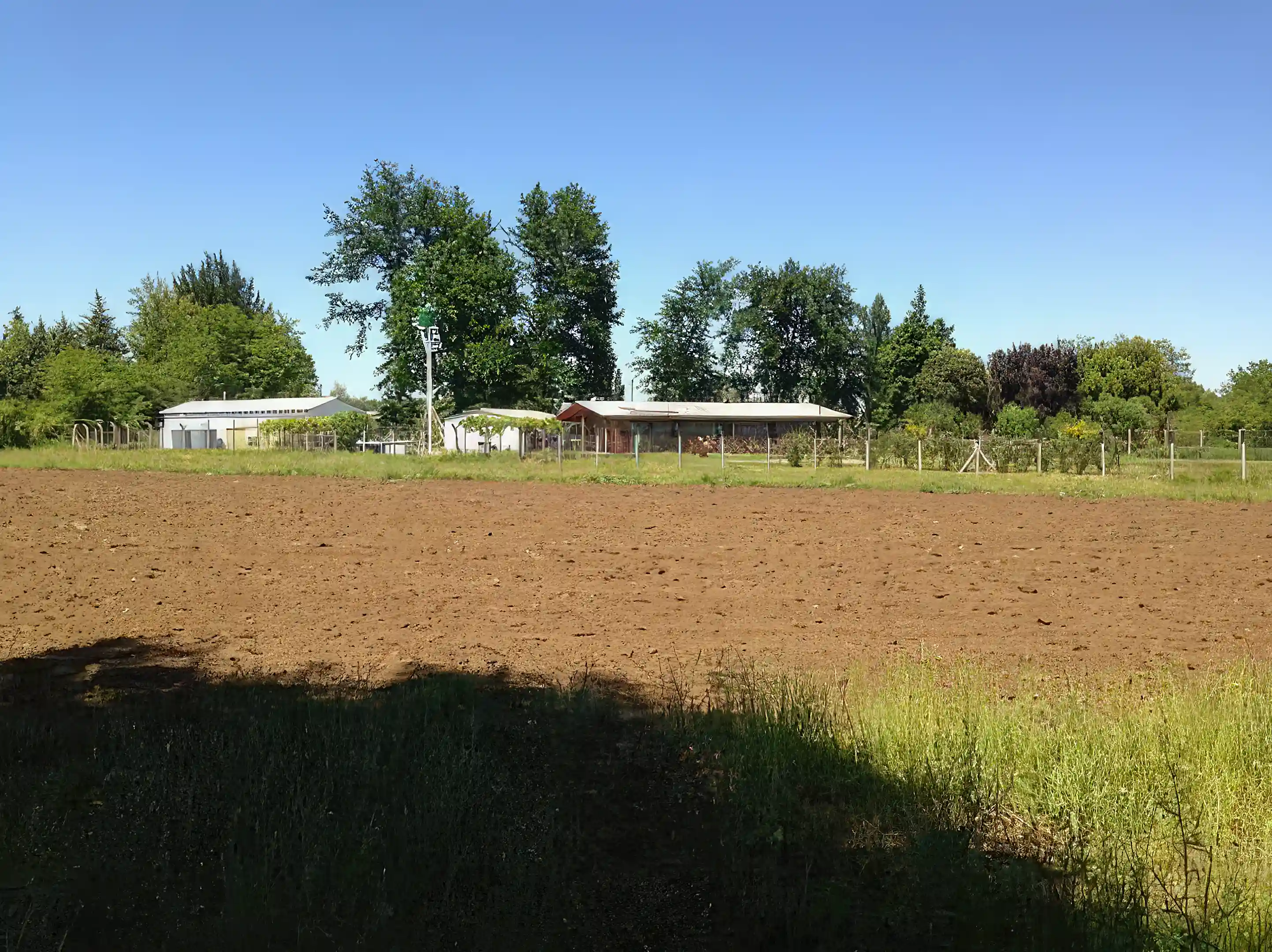 Small Farm for Sale in Chillan, Nuble, Chile