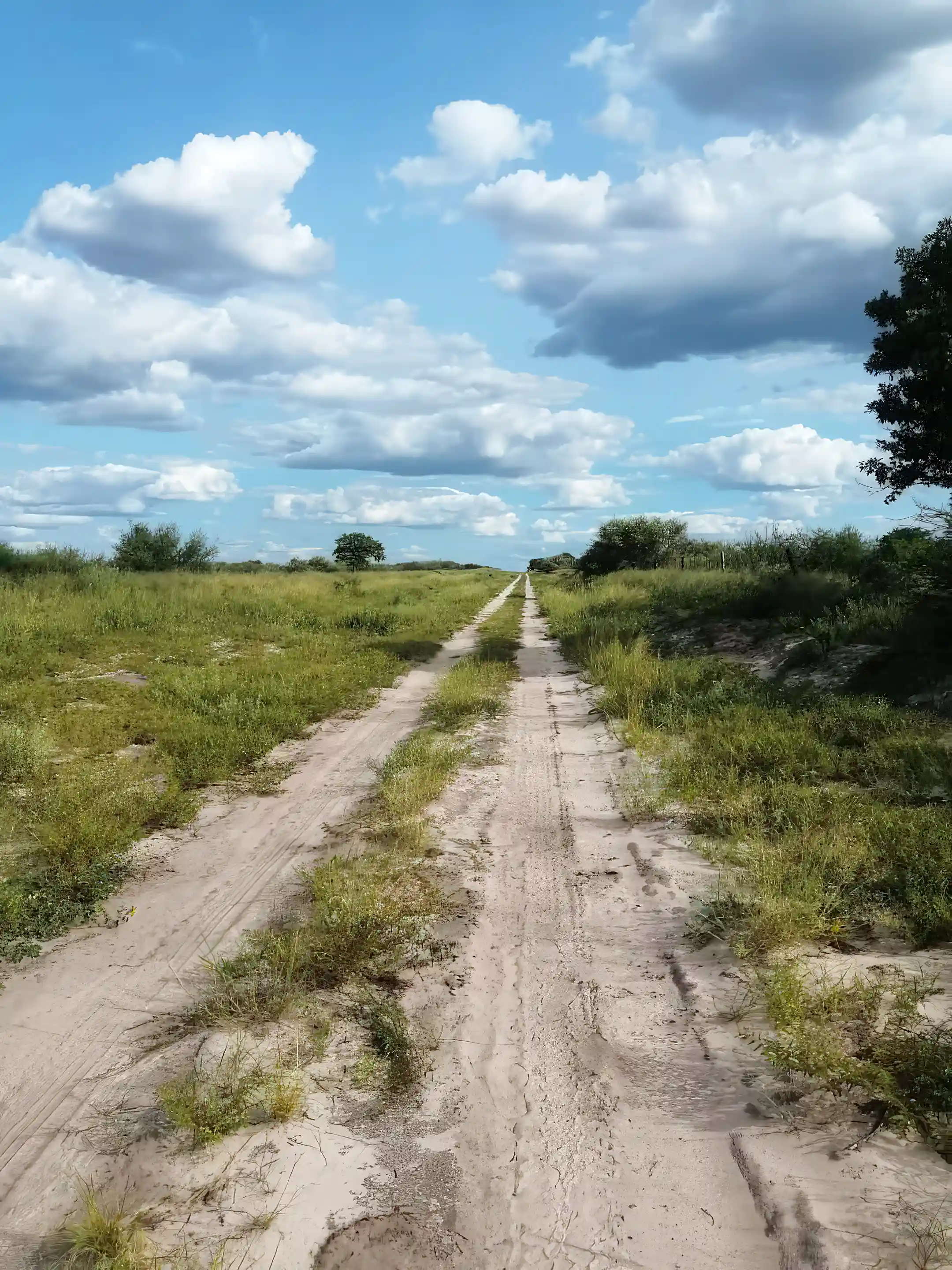 Farm/Ranch for Sale in P.o. Box 86, Orapa, Central, Botswana