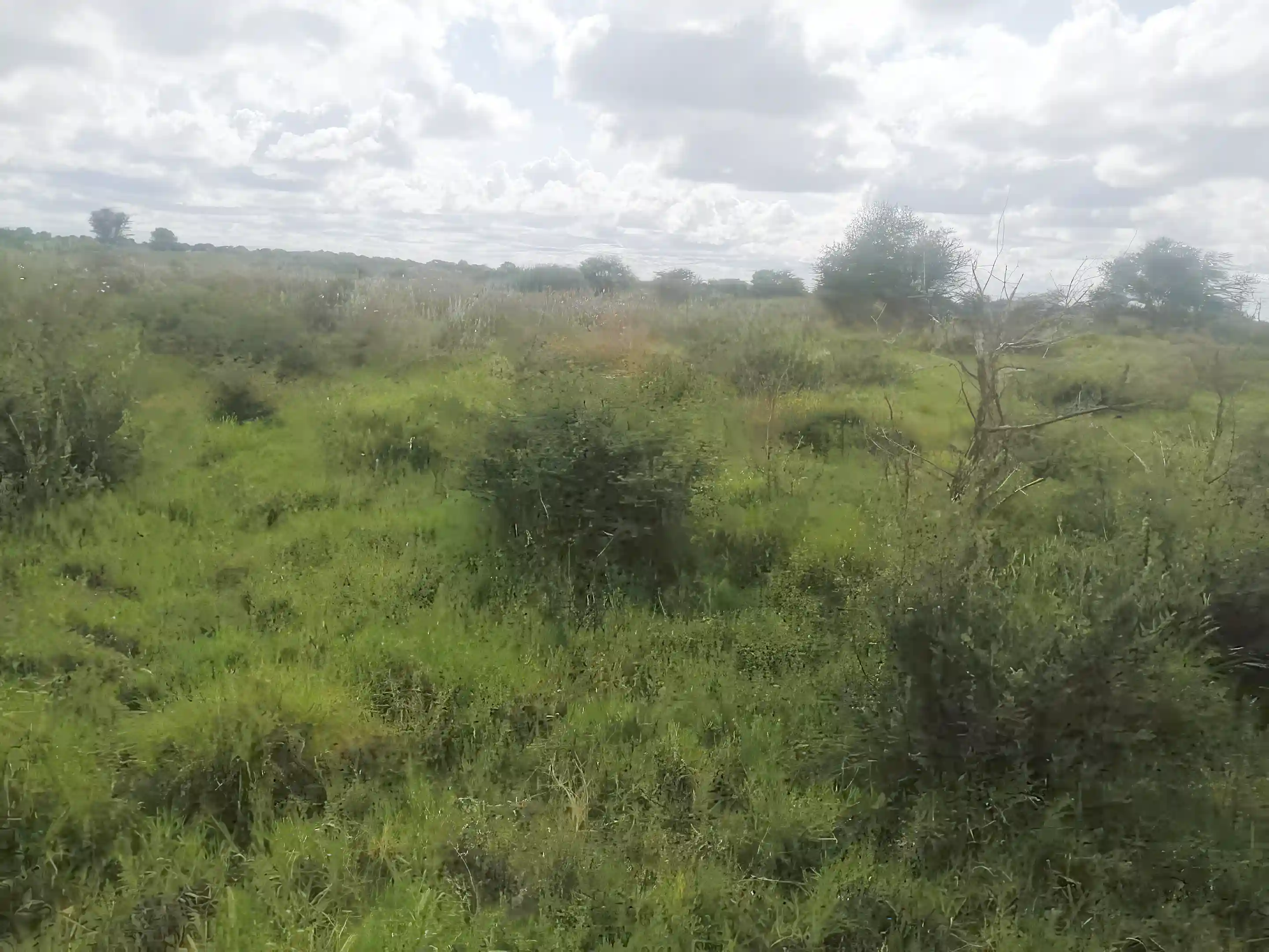 Farm/Ranch for Sale in P.o. Box 86, Orapa, Central, Botswana