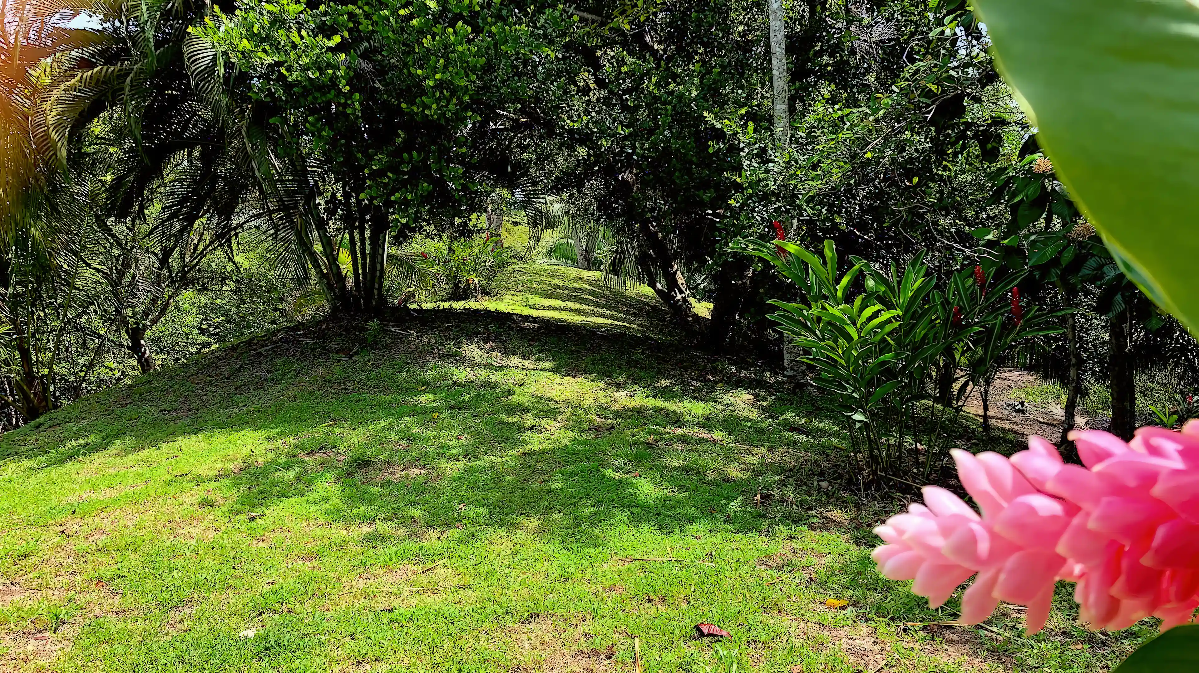 Huge Oceanfront Land for Sale in Loma Partida Main Land, Bocas Del Toro ...