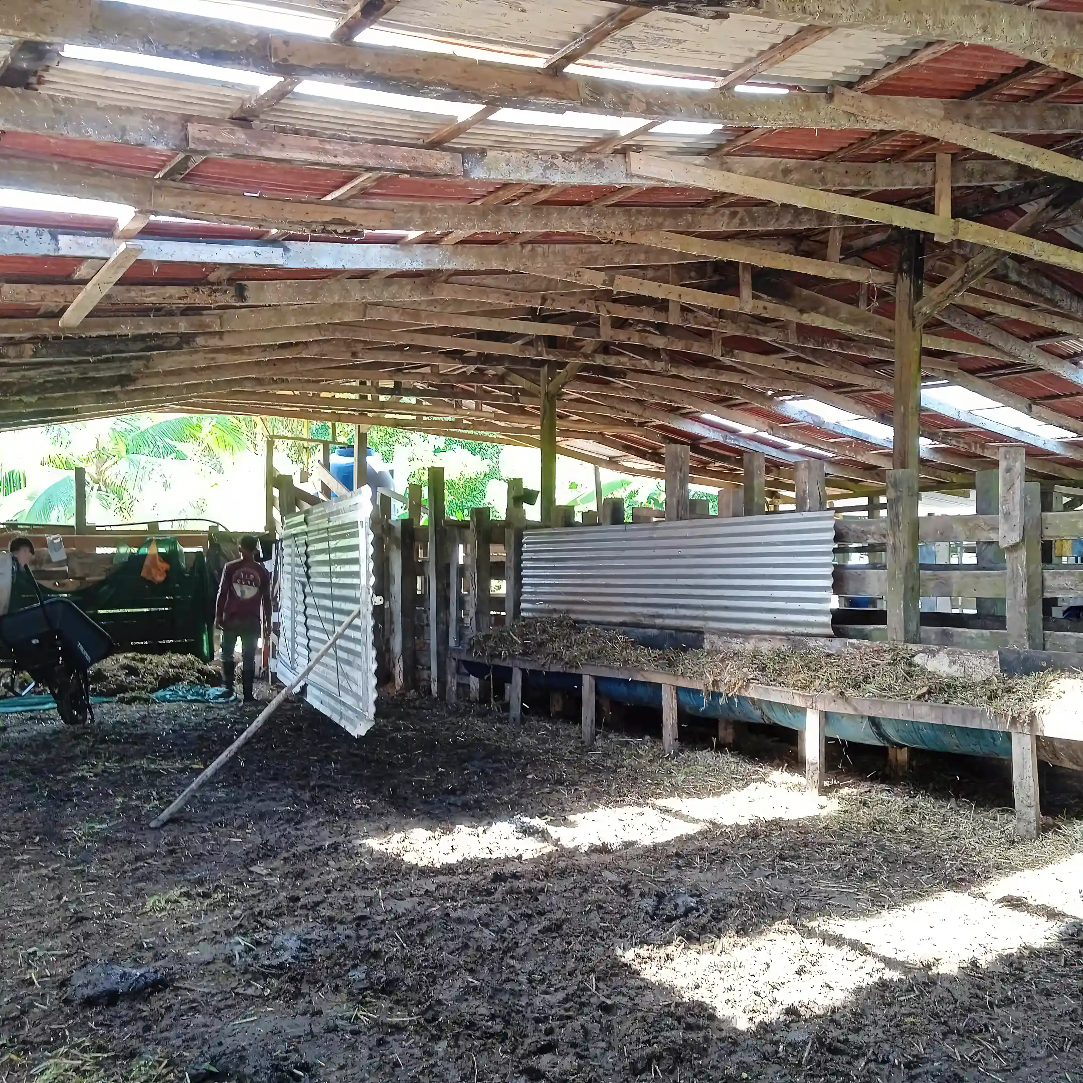 Beachfront Cattle Ranch for Sale in Puerto Jimenez, Puntarenas, Costa Rica