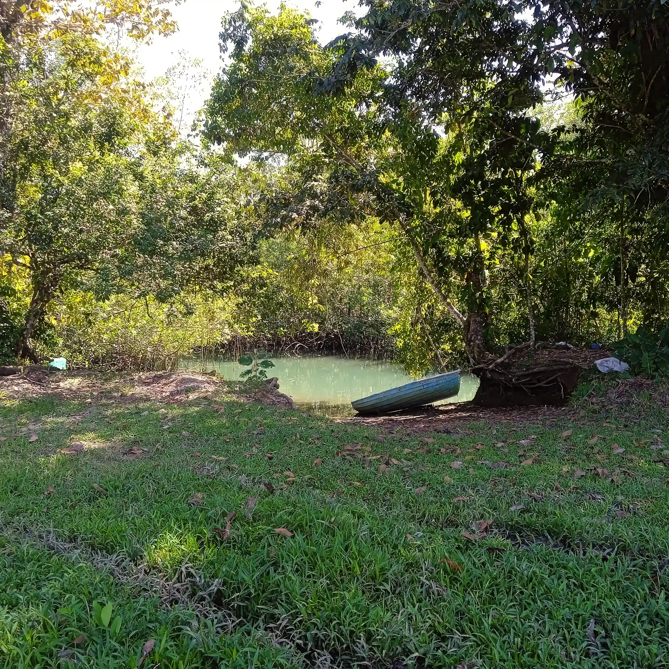 Beachfront Cattle Ranch for Sale in Puerto Jimenez, Puntarenas, Costa Rica