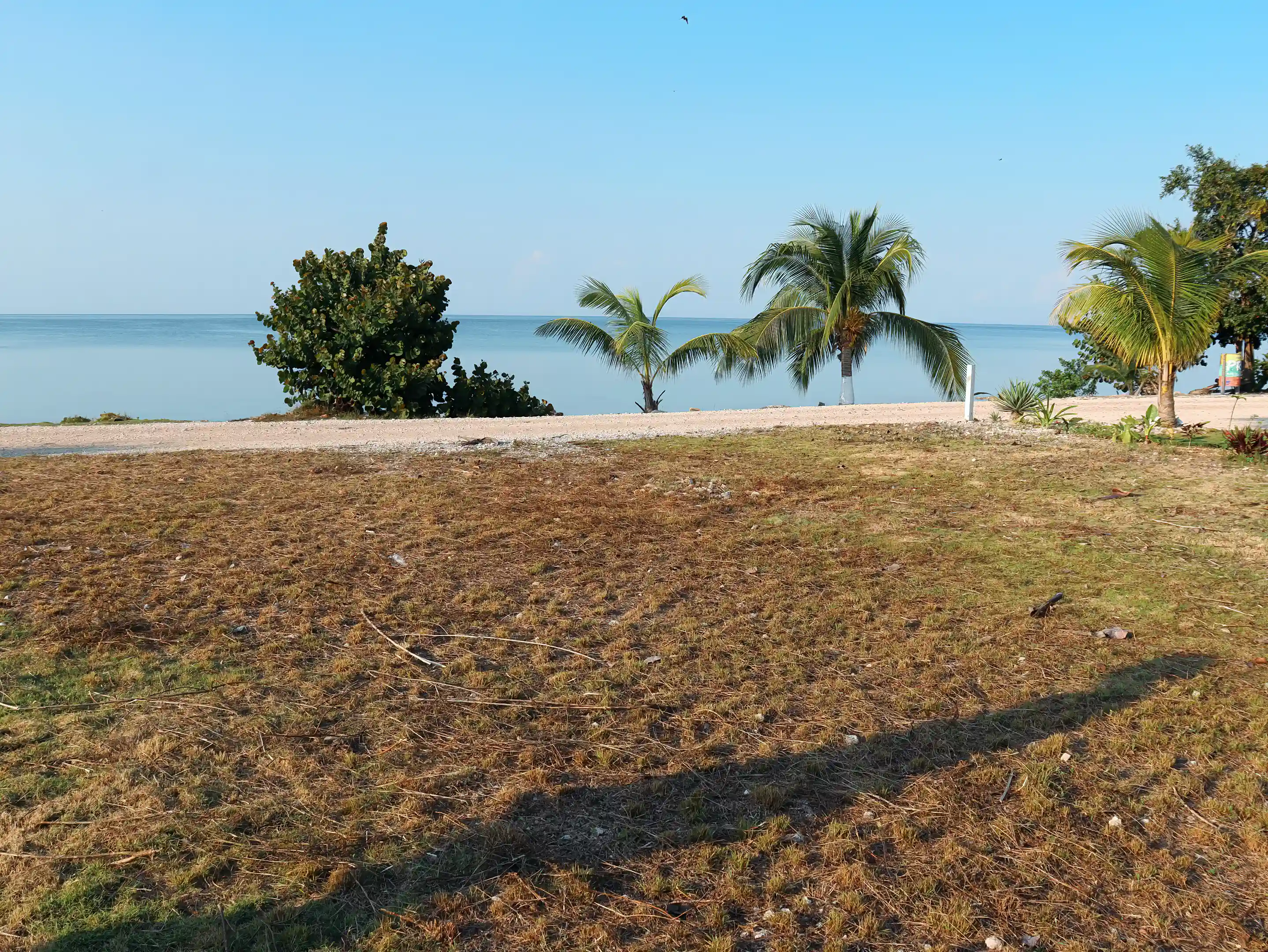 Oceanfront Lot for Sale in Sarteneja, Corozal, Belize