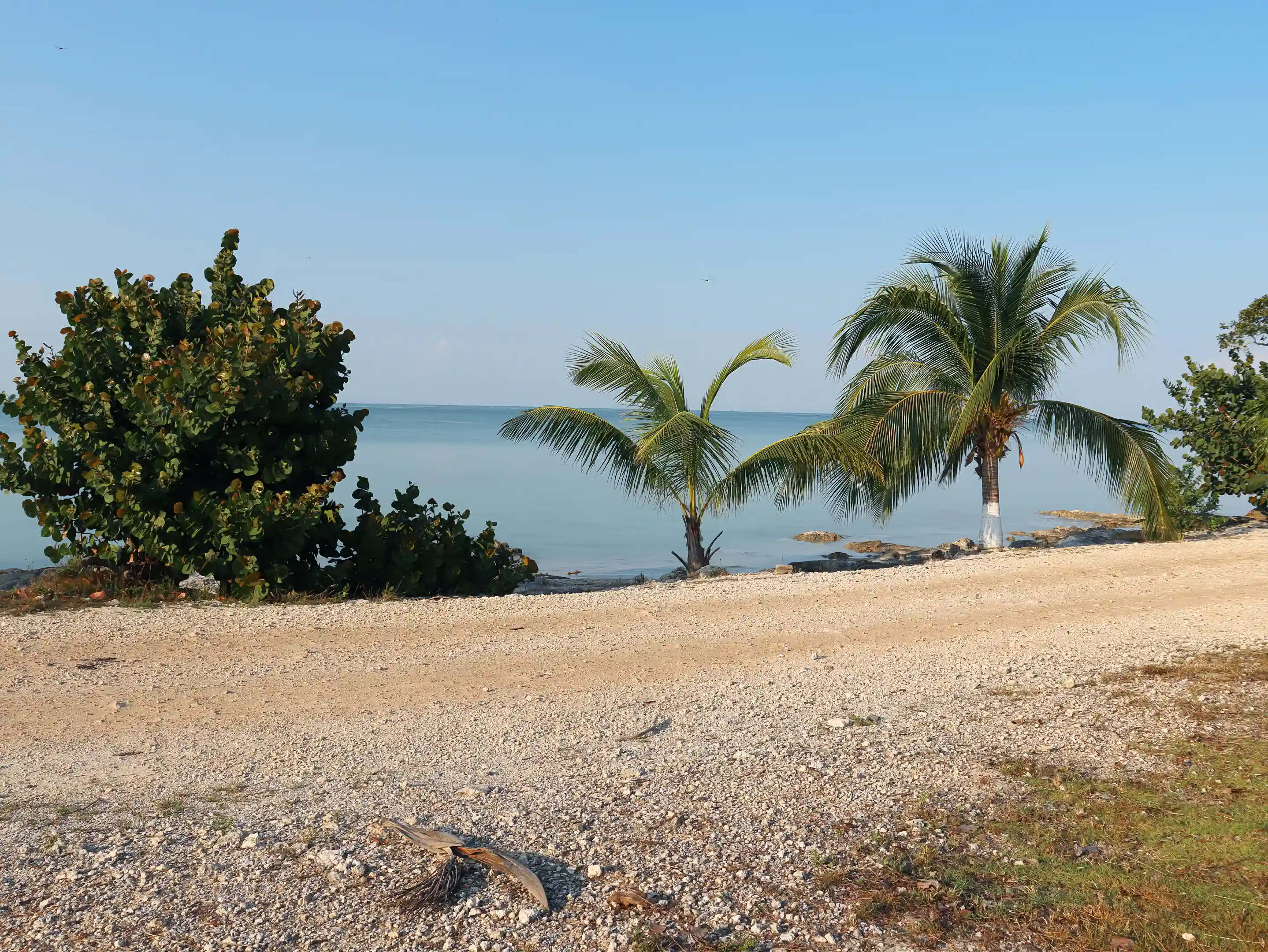 Oceanfront Lot for Sale in Sarteneja, Corozal, Belize