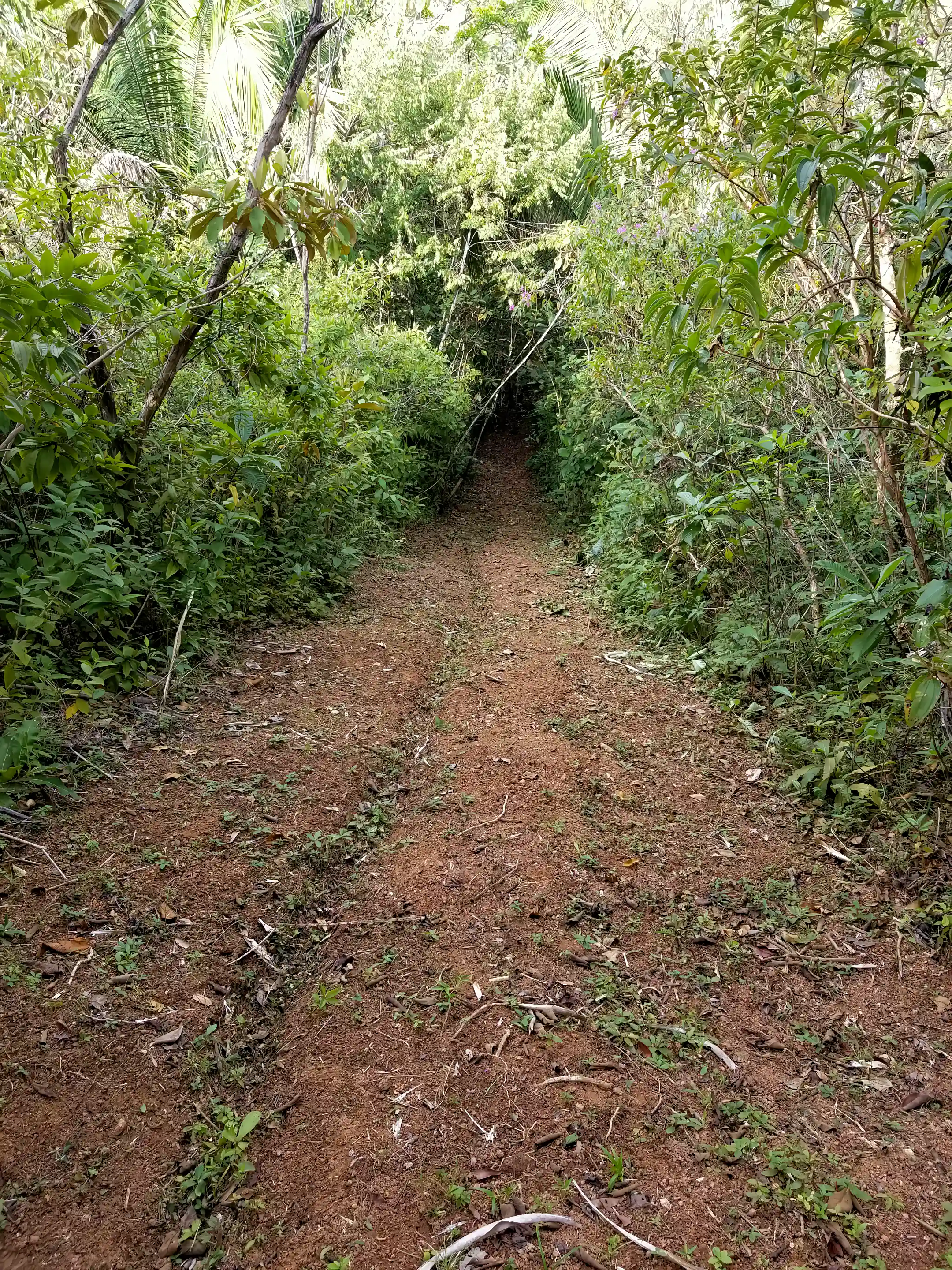 Lot/Land for Sale in Ocean Ridge Estates, Mariatos, Veraguas, Panama