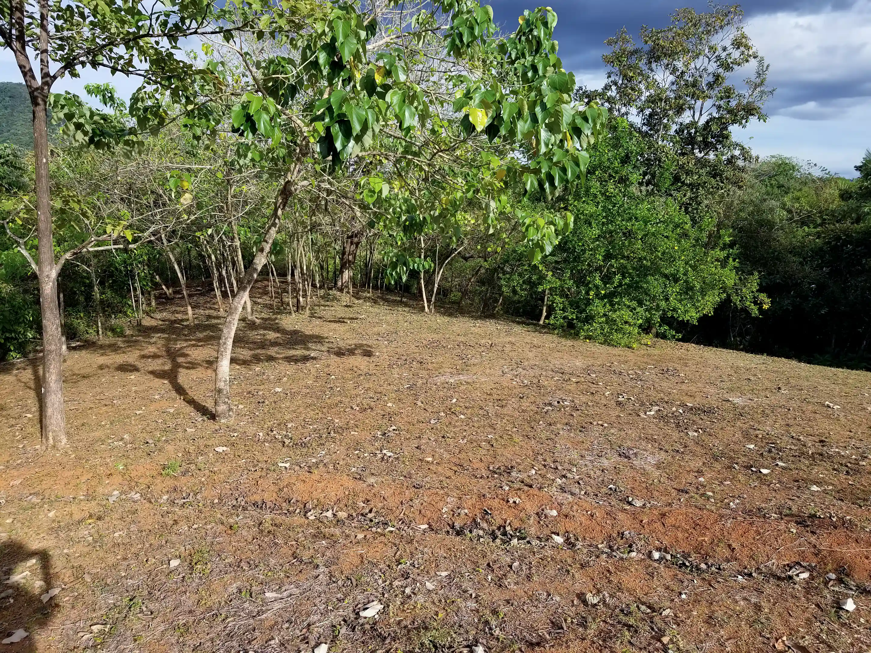 Lot/Land for Sale in Ocean Ridge Estates, Mariatos, Veraguas, Panama