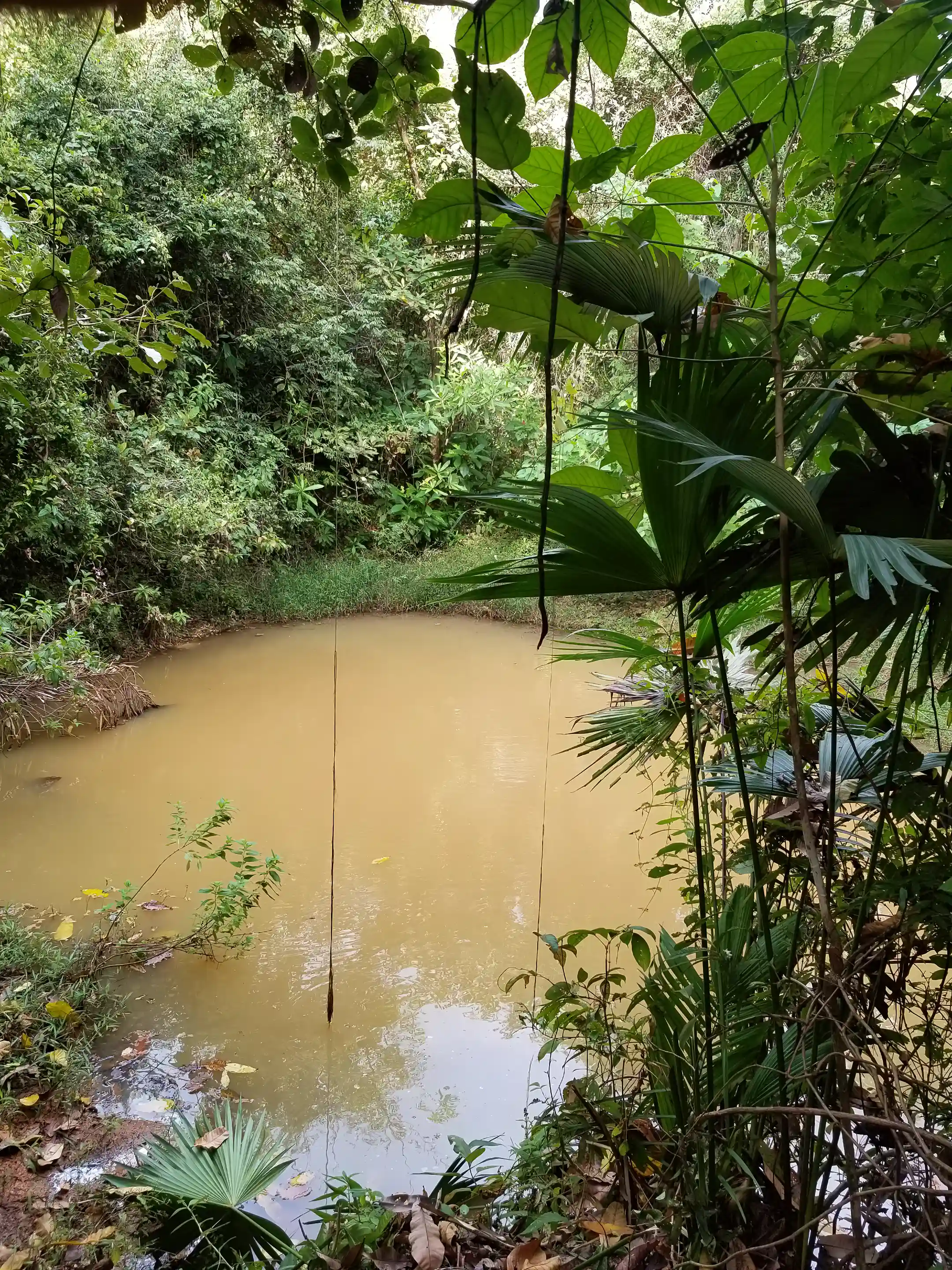 Lot/Land for Sale in Ocean Ridge Estates, Mariatos, Veraguas, Panama