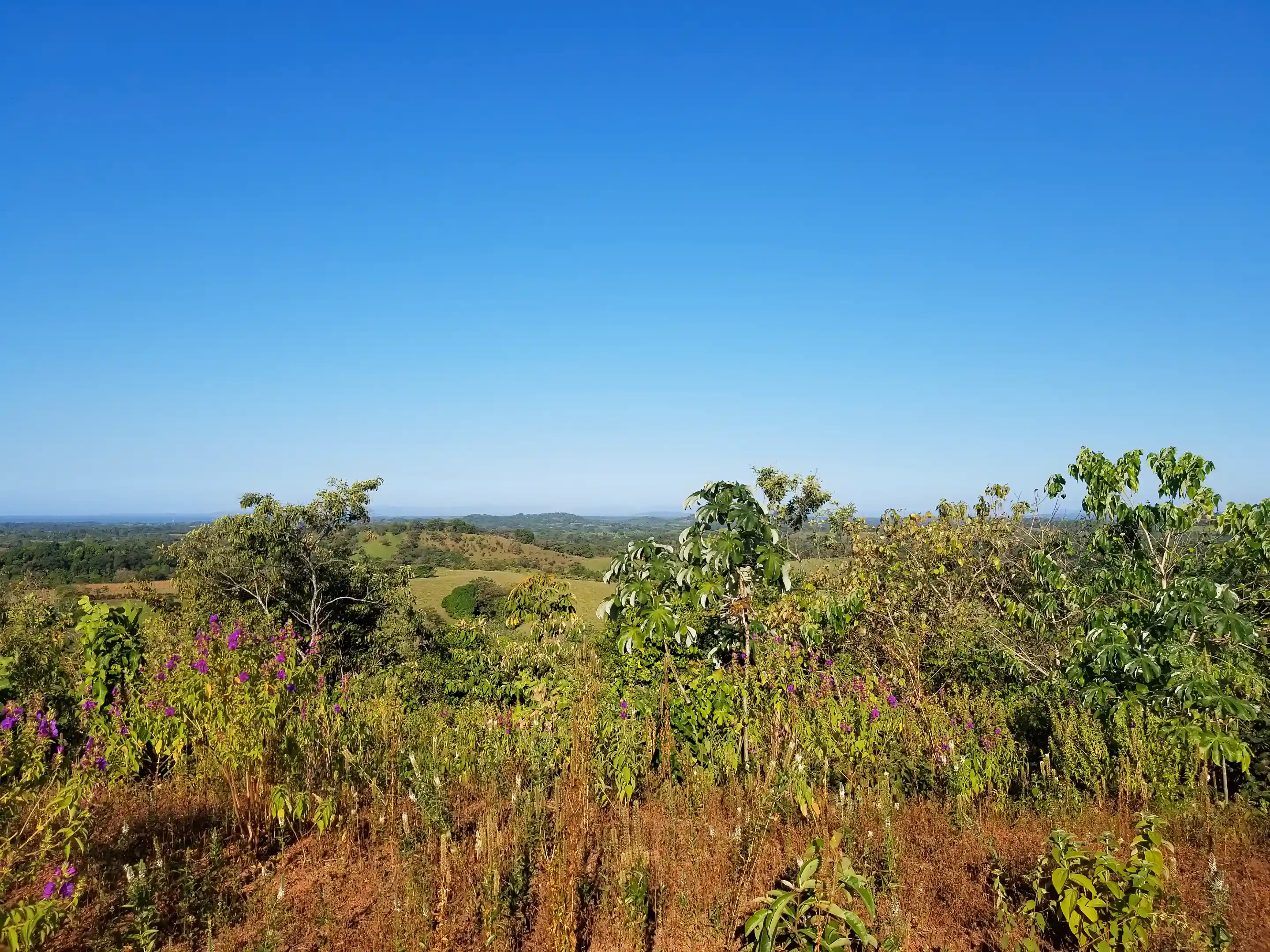 Lot/Land for Sale in Ocean Ridge Estates, Mariatos, Veraguas, Panama