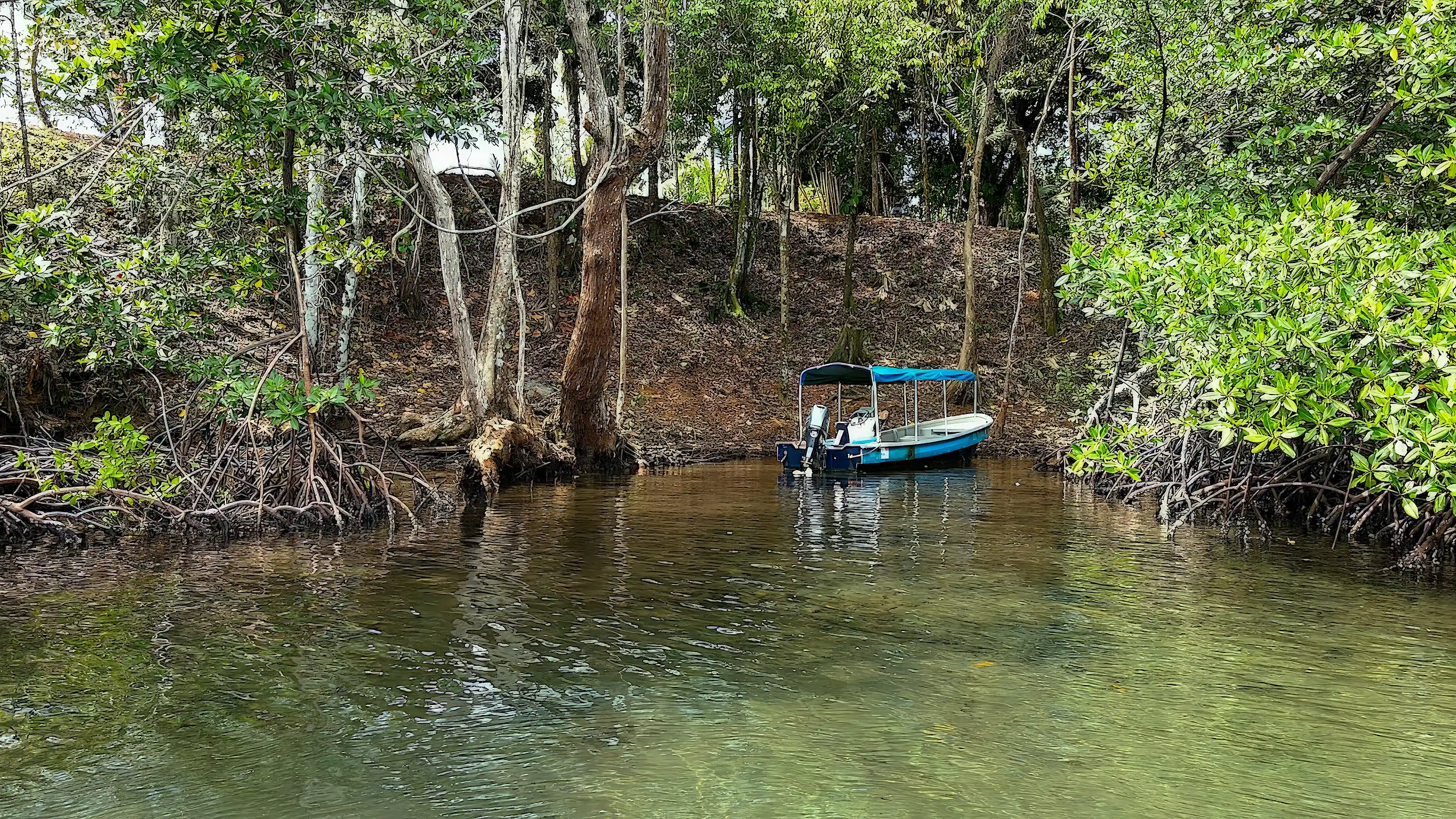 Peninsula for Sale in Popa Island, Bocas Del Toro, Panama