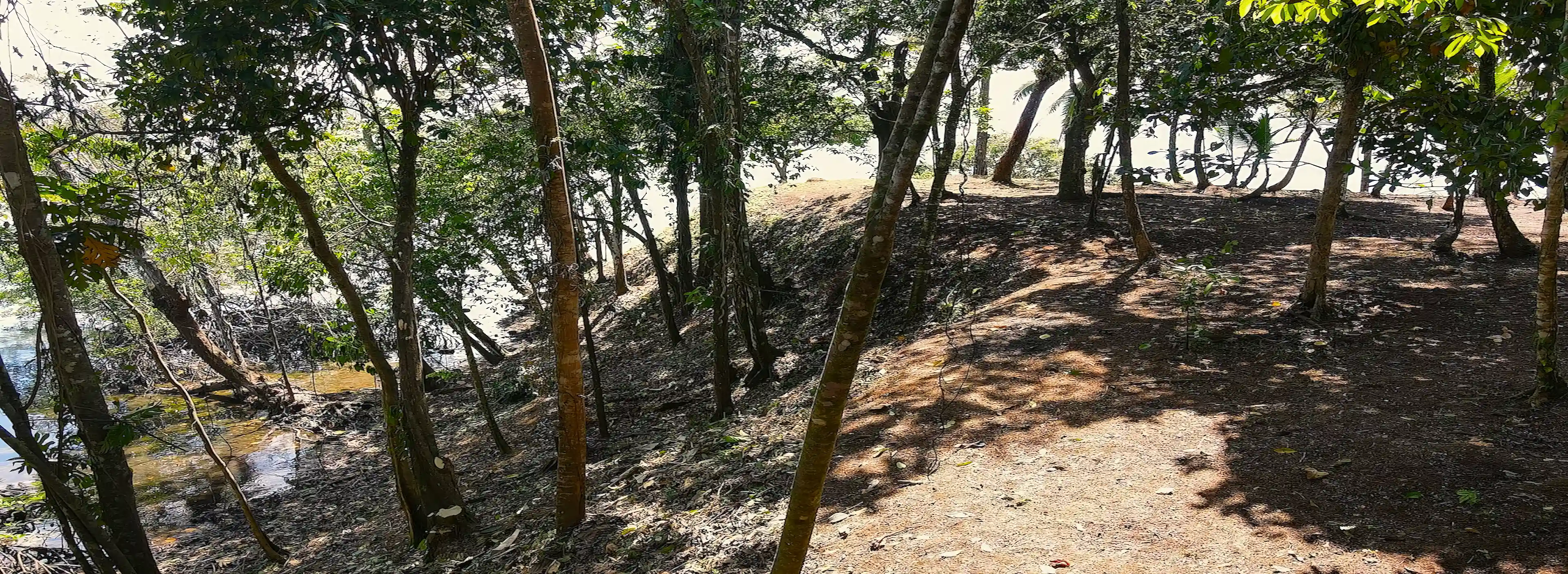 Caribbean Peninsula for Sale in Popa Island, Bocas Del Toro, Panama