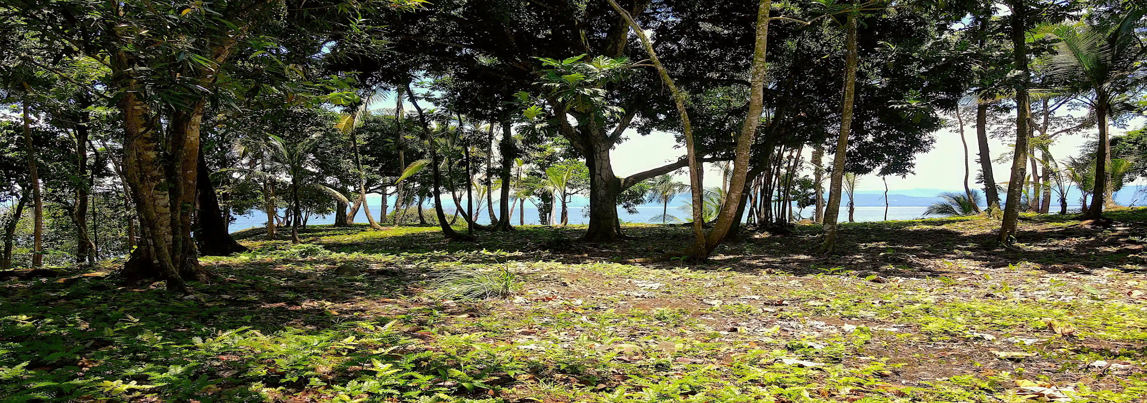 Caribbean Peninsula for Sale in Popa Island, Bocas Del Toro, Panama